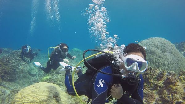 Scuba Diving Videos, Download The BEST Free 4k Stock Video Footage ...