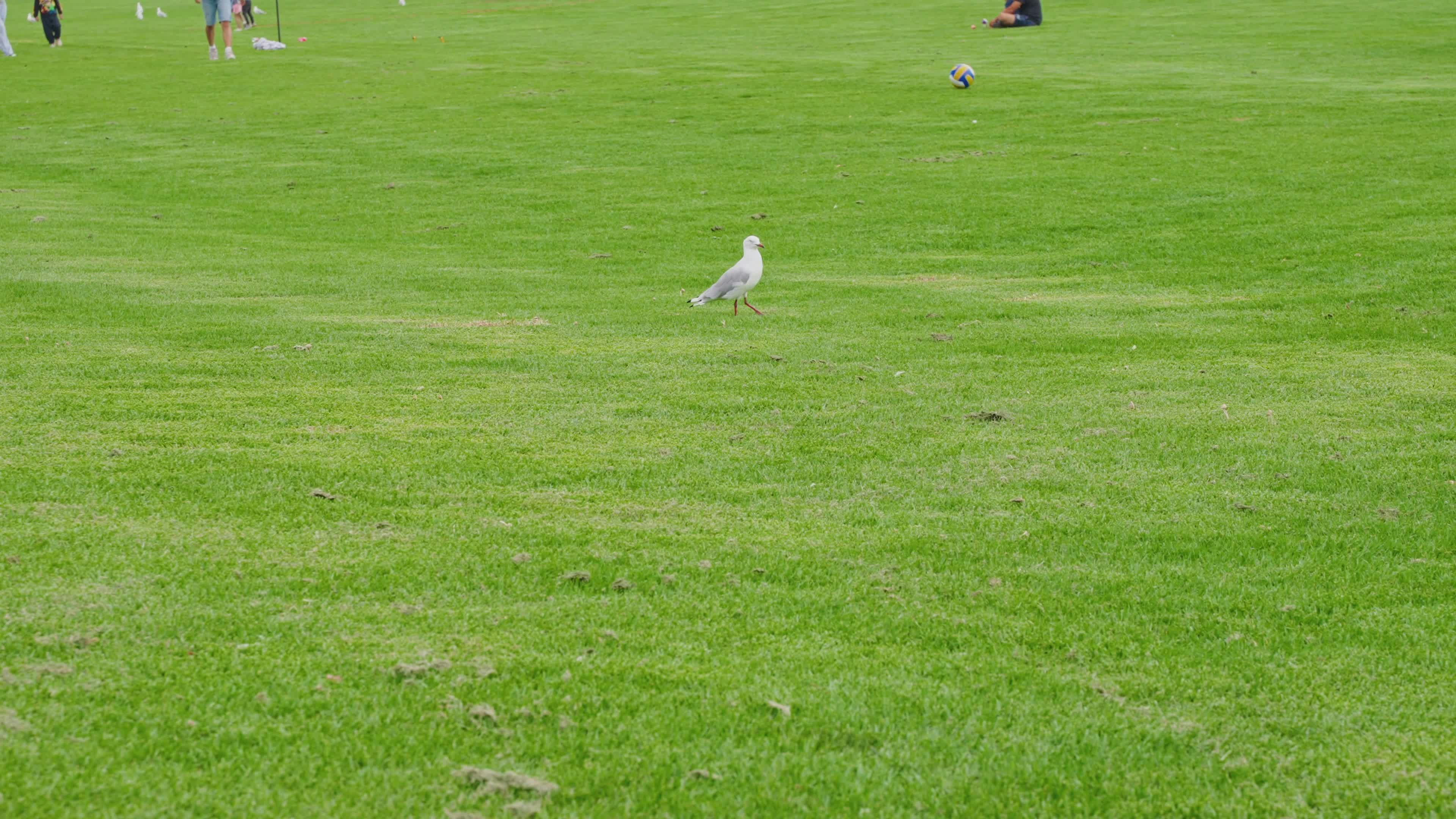 Waptrick+Mp4+Free+Download Videos, Download The BEST Free 4k Stock ...