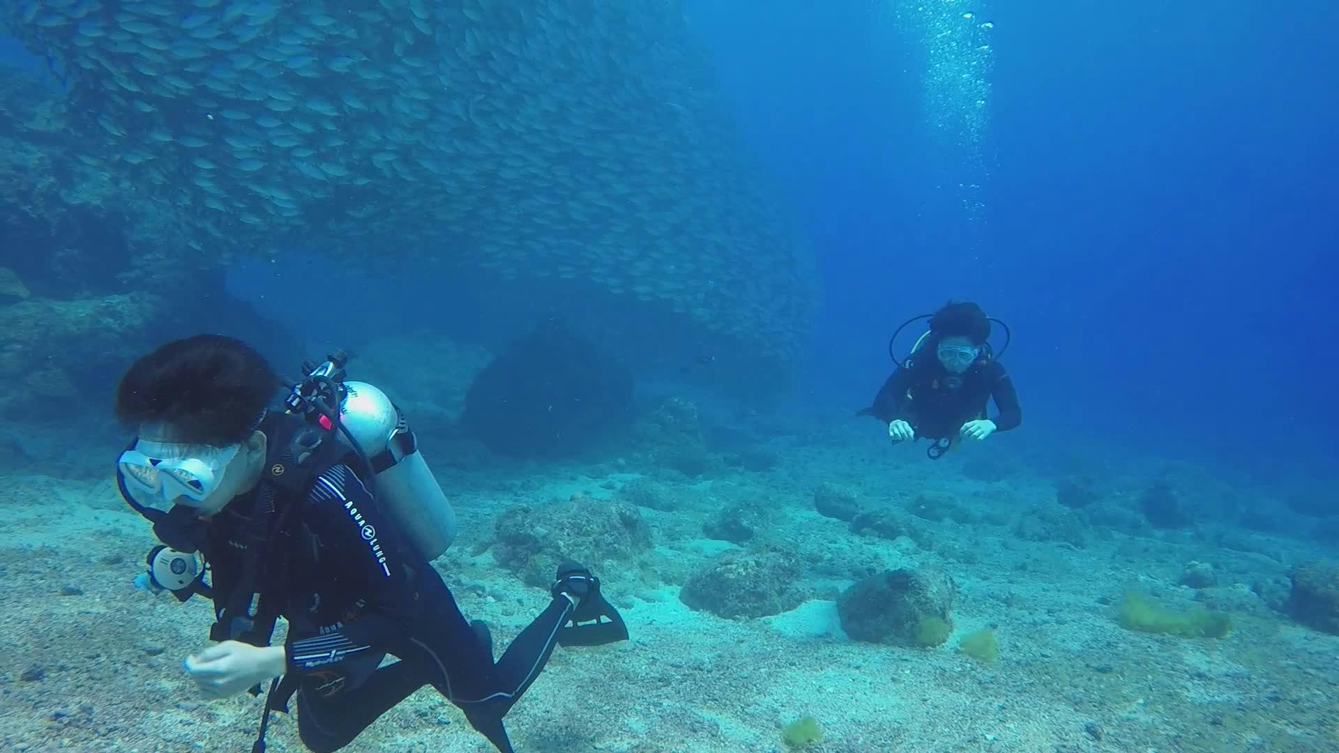 Scuba Divers Navigating Underwater Coral Reef Free Stock Video Footage ...
