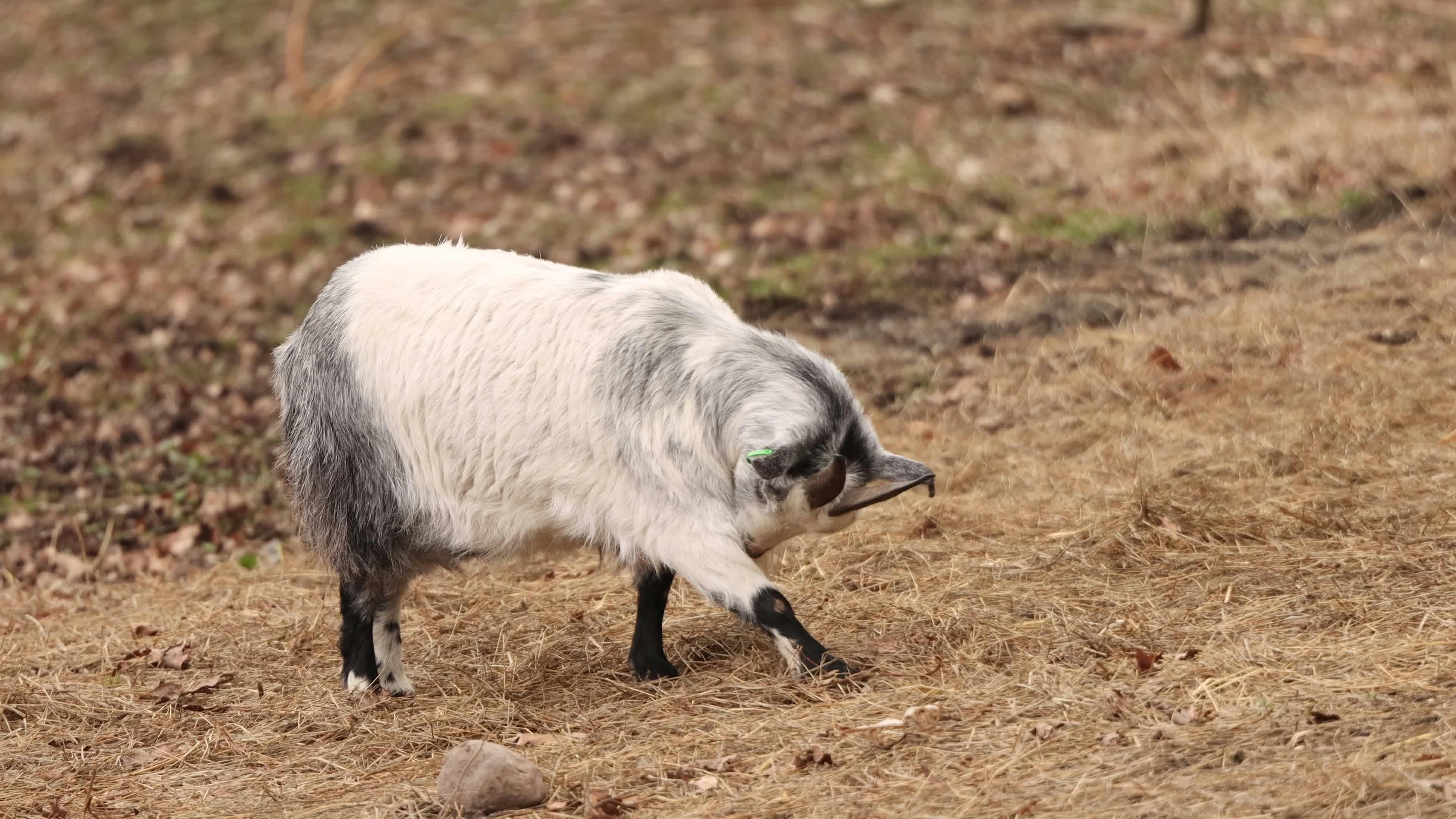 Simple Life Videos, Download The BEST Free 4k Stock Video Footage ...