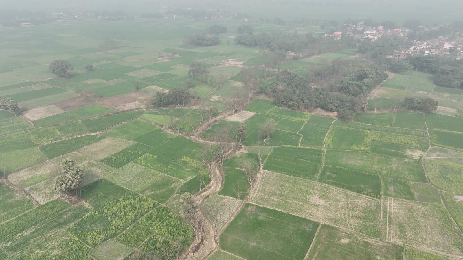 Best+Facial+Compilation Videos, Download The BEST Free 4k Stock Video ...