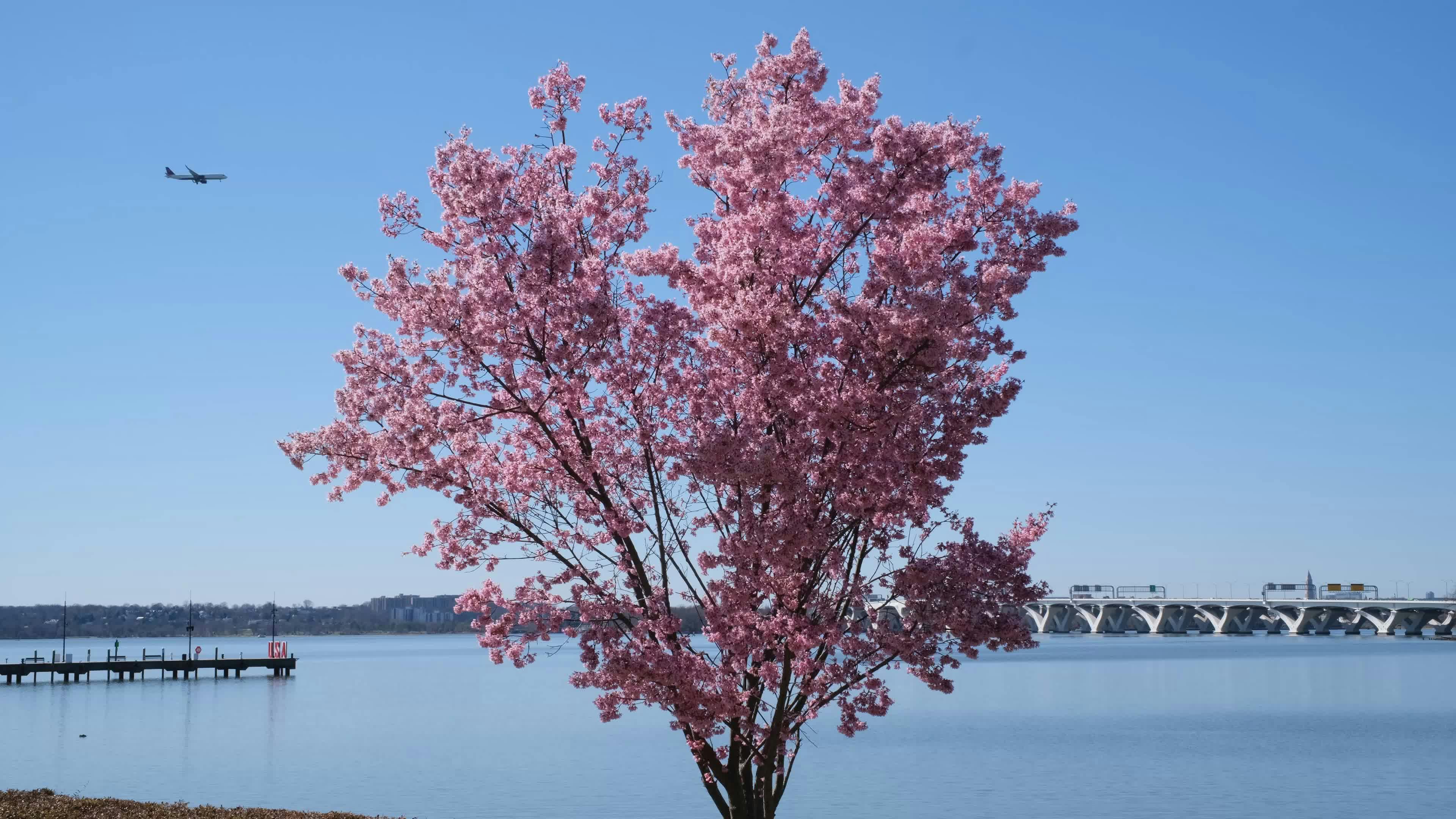 Popular+Now+On+Bing+Chho+C+Chhohho+Chuck+Stuck+Chho Videos, Download ...