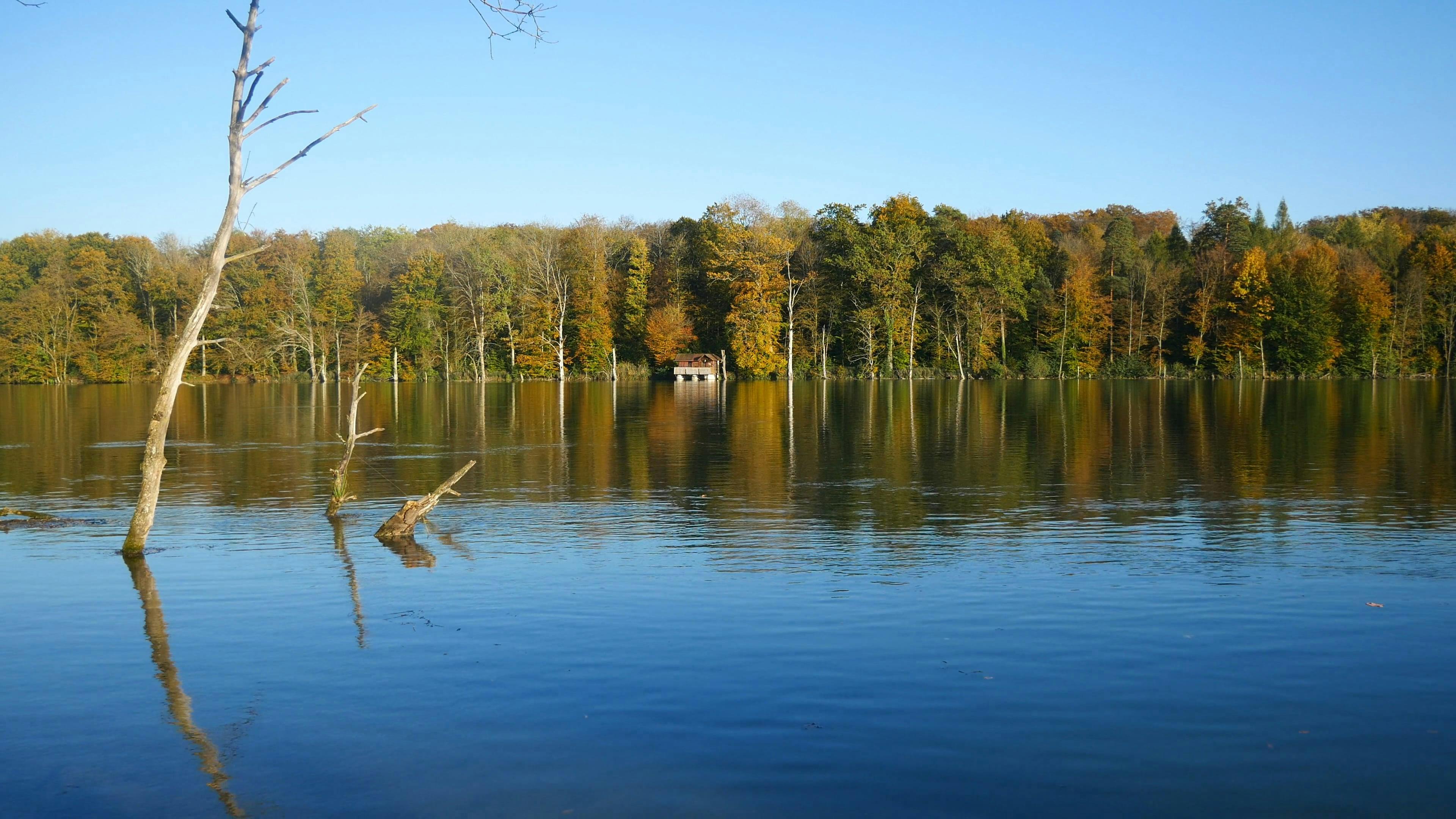 Distorted Reflections Of A Lake Surrounding On Its Water Surface · Free ...