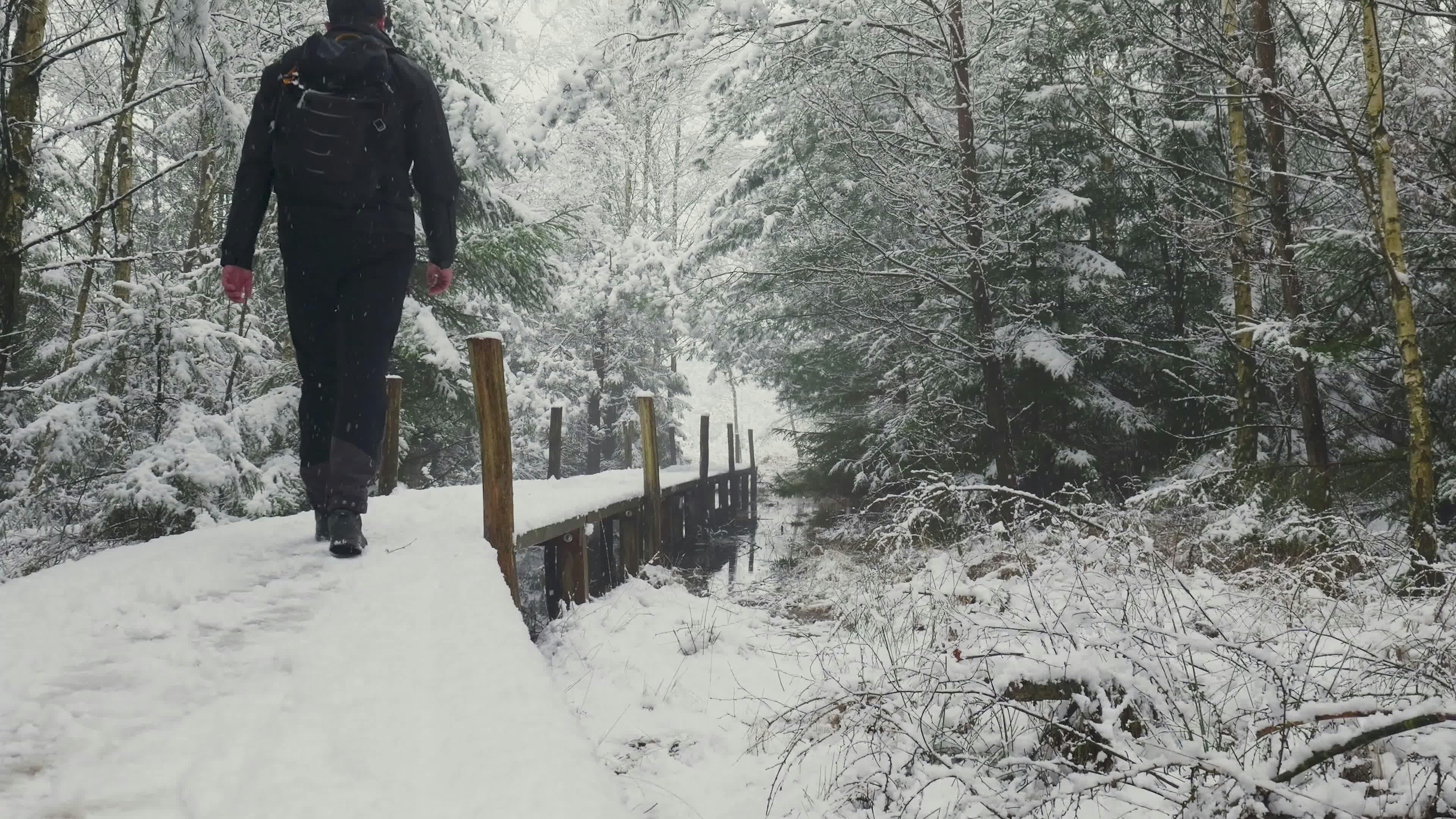 Sigma Male Videos, Download The BEST Free 4k Stock Video Footage ...