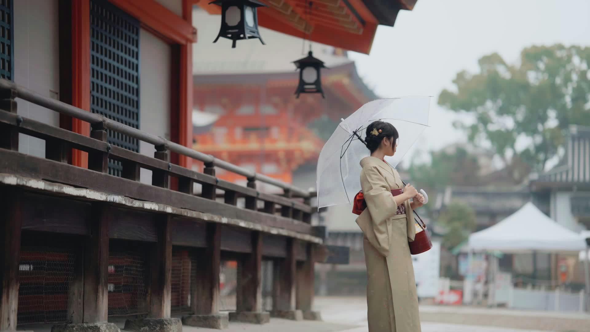 Beautiful+Crossdressers+Scroller Videos, Download The BEST Free 4k ...