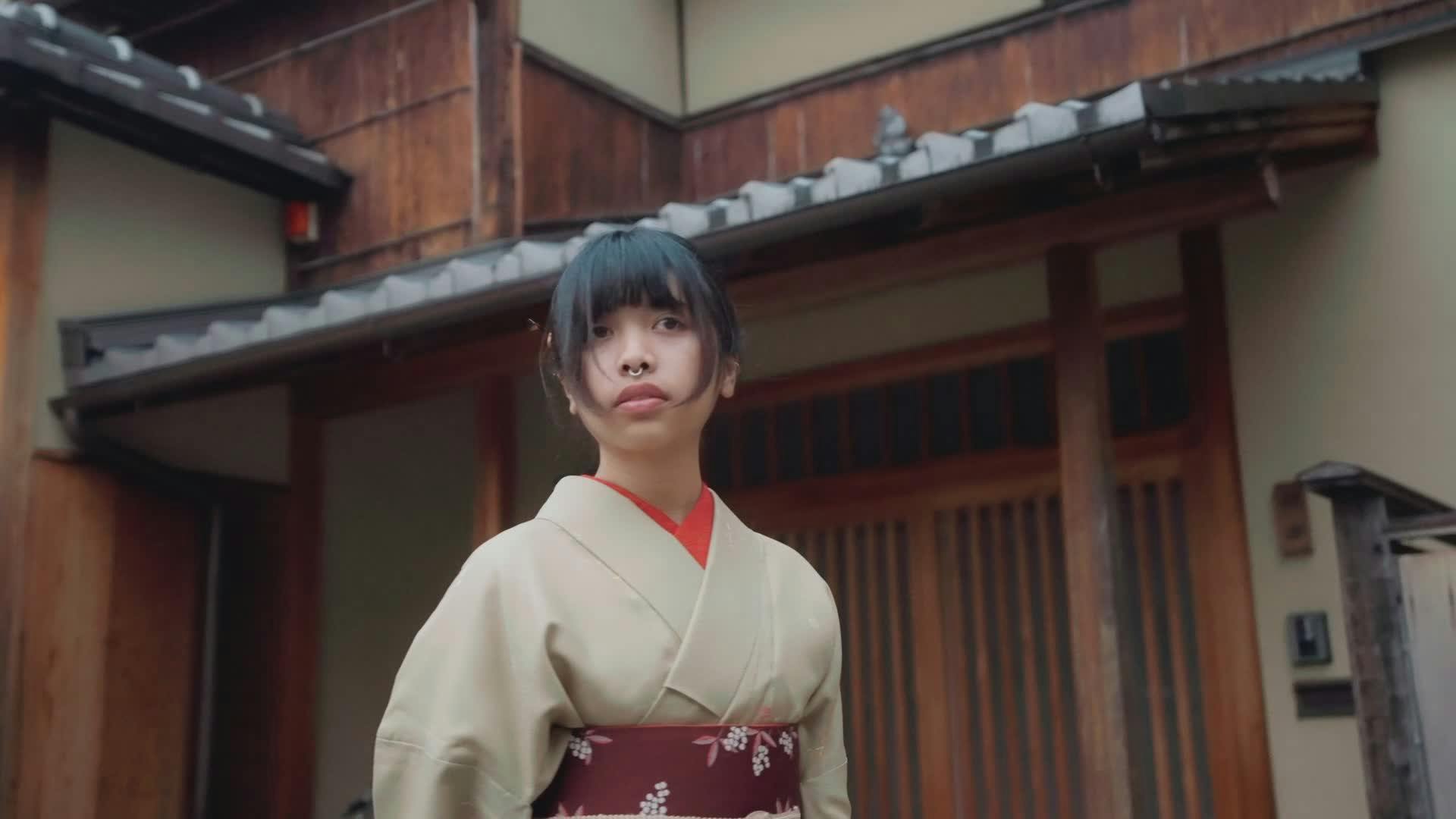 Serene Cherry Blossoms in Historic Japan Free Stock Video Footage ...