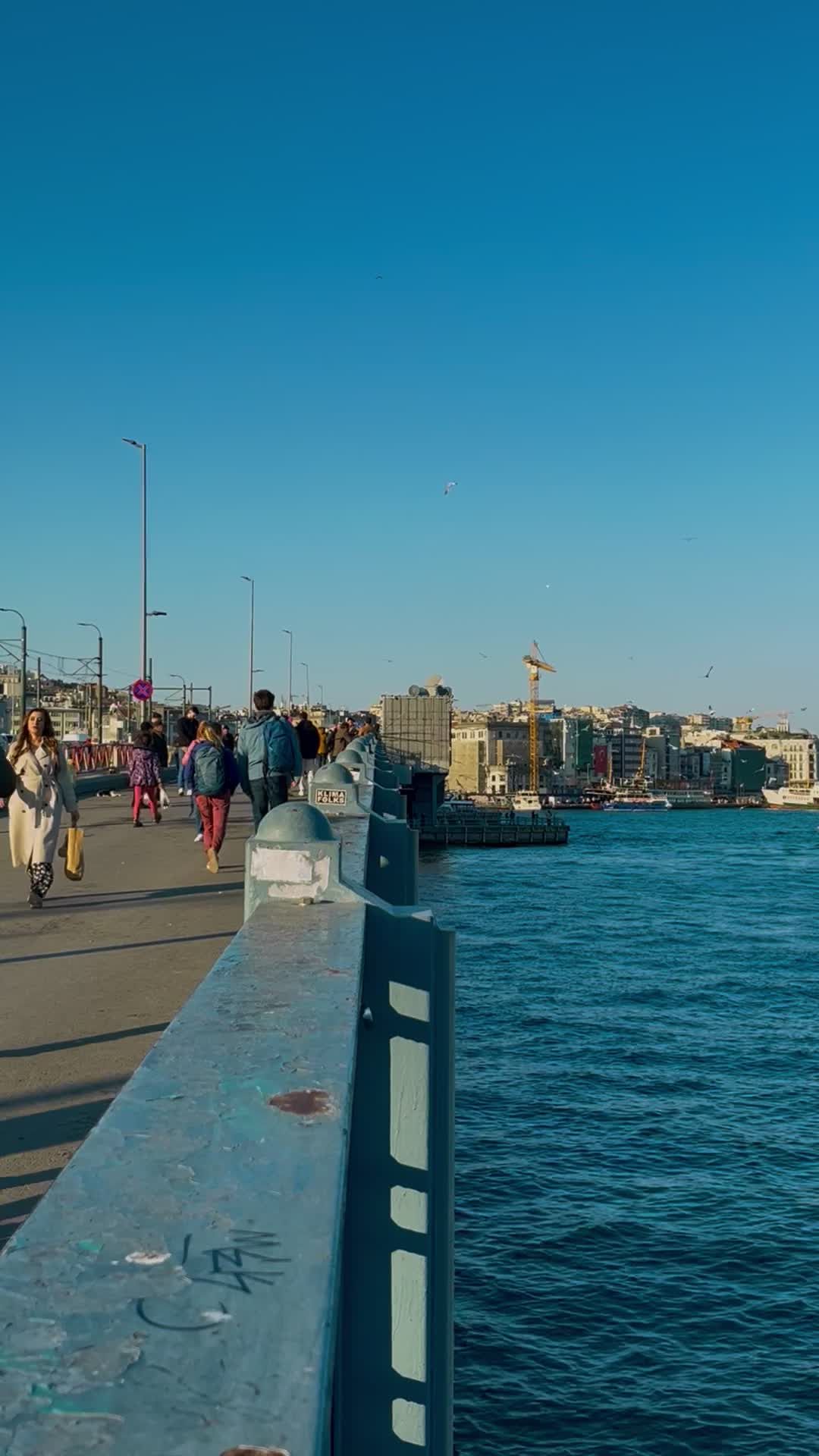 Sunny Waterfront Promenade Stroll Free Stock Video Footage, Royalty ...