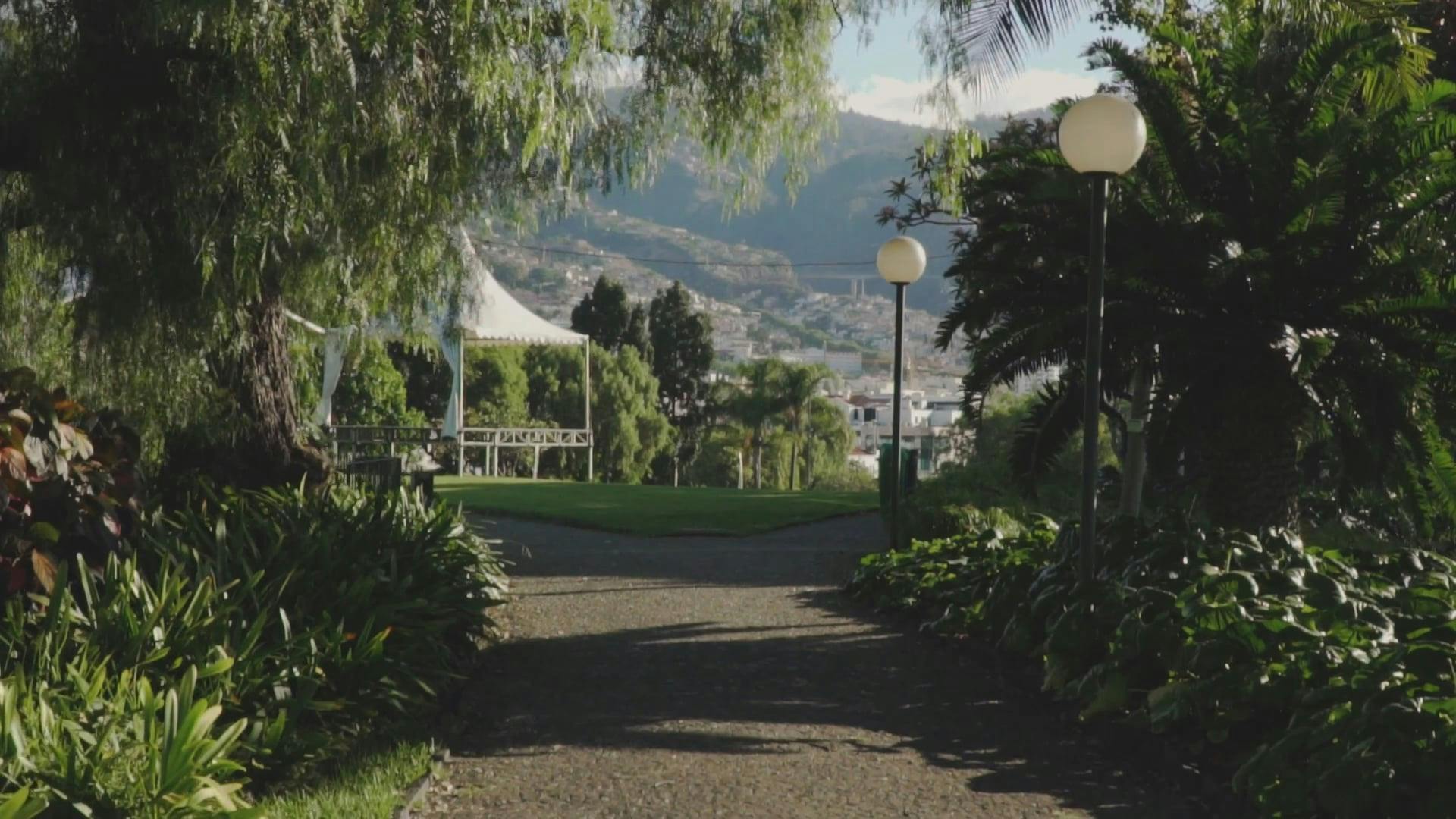 Landscape Maintenance Pic Videos, Download The BEST Free 4k Stock Video ...