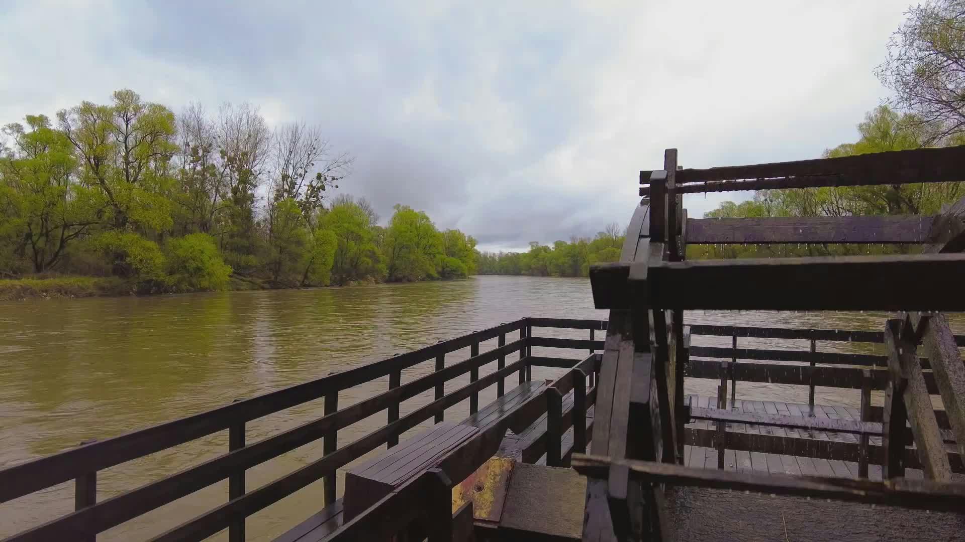 Mom+Sax Videos, Download The BEST Free 4k Stock Video Footage & Mom+Sax ...