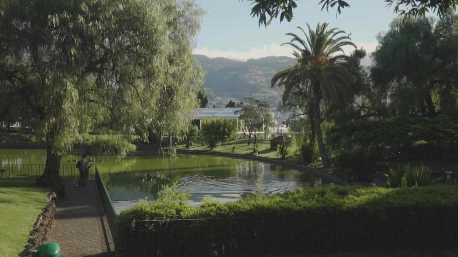 Compilation Video Of A City Landmarks Free Stock Video Footage, Royalty ...