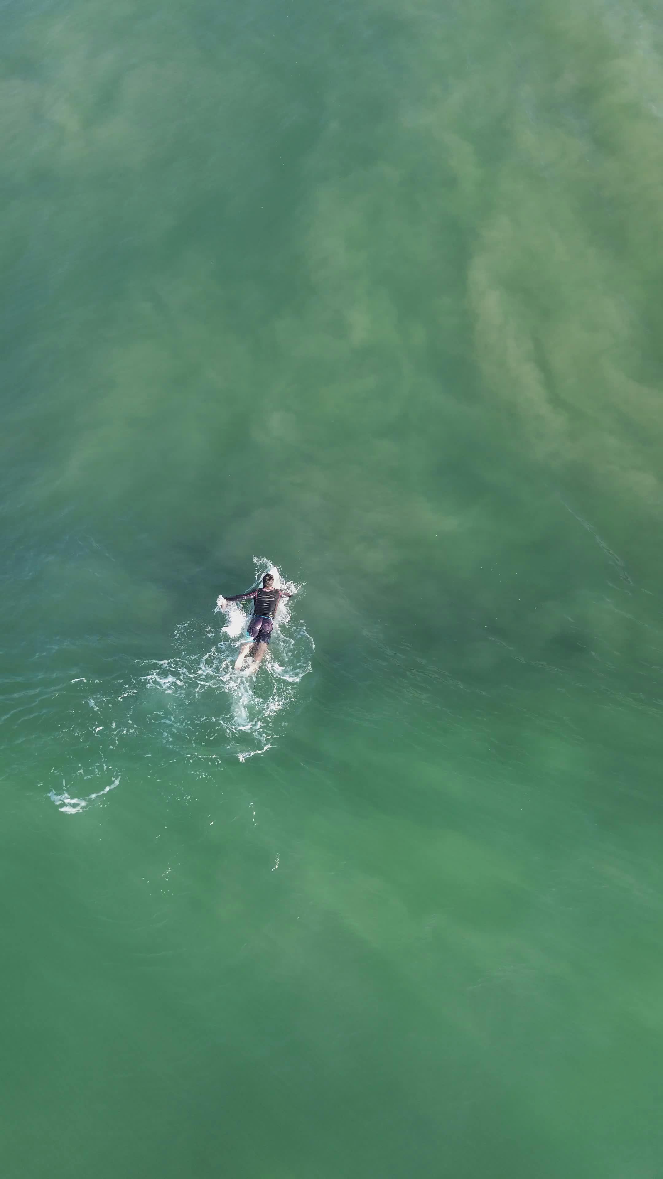 Surf Competition Videos, Download The BEST Free 4k Stock Video Footage ...