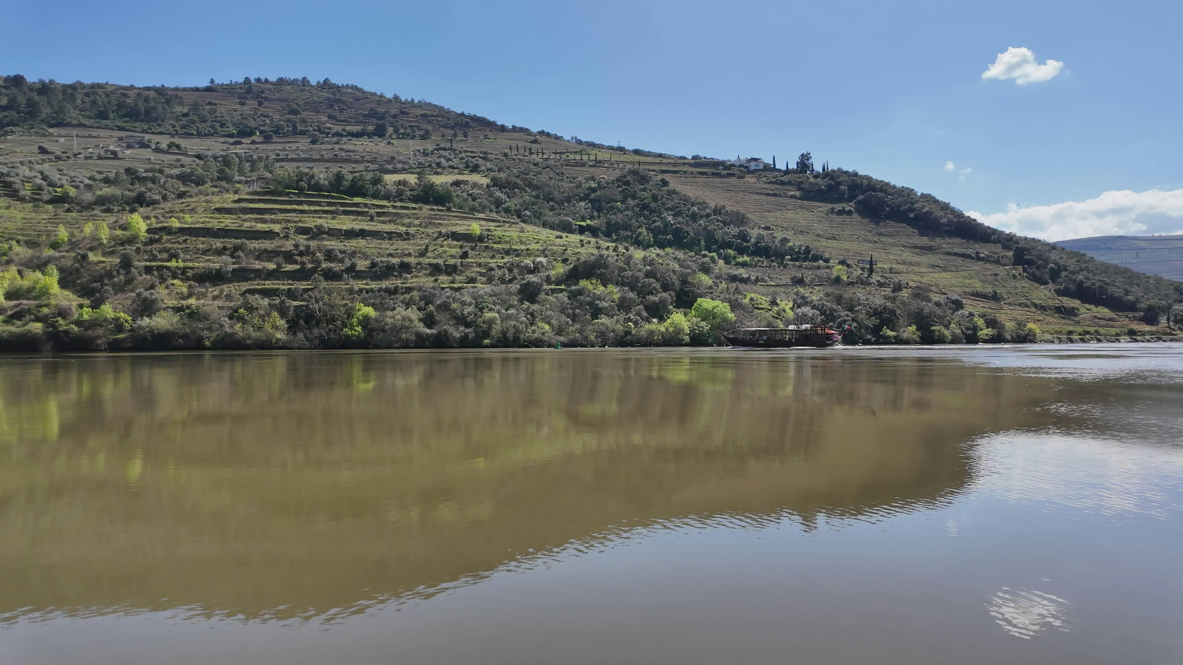 Scenic Douro River and Vineyard Views Free Stock Video Footage, Royalty ...