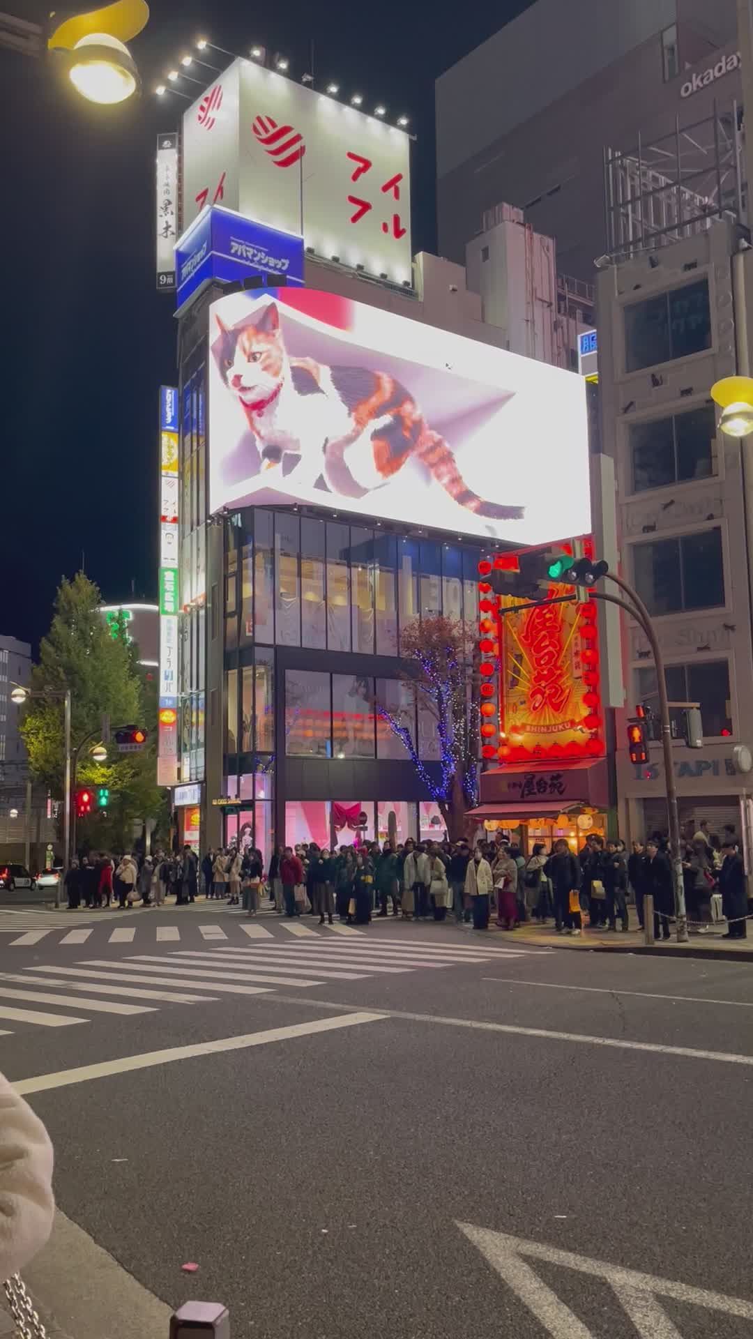 Vibrant Shibuya Crossing at Night Free Stock Video Footage, Royalty ...