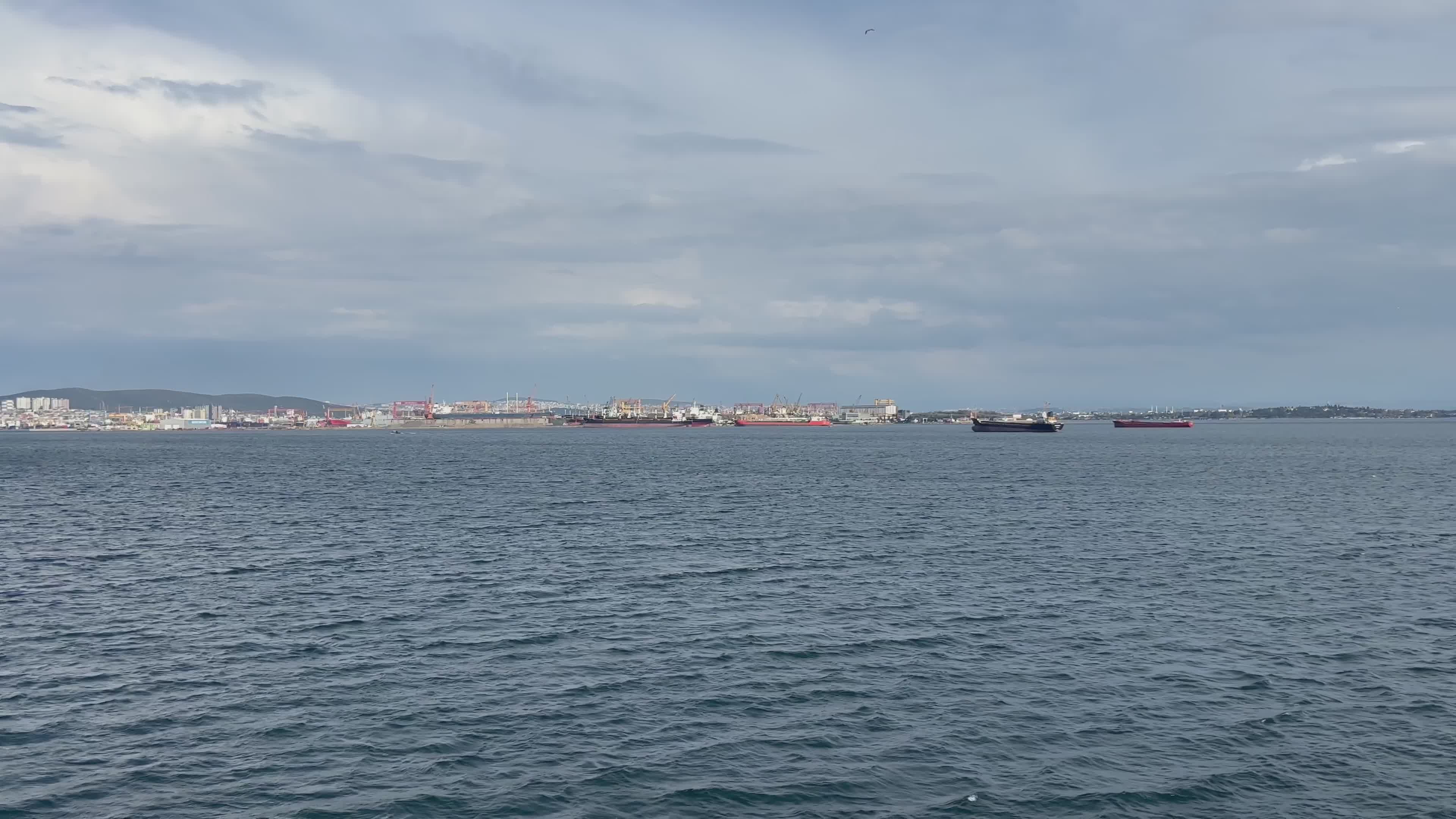 Serene Maritime View of Busy Shipping Bay Free Stock Video Footage ...