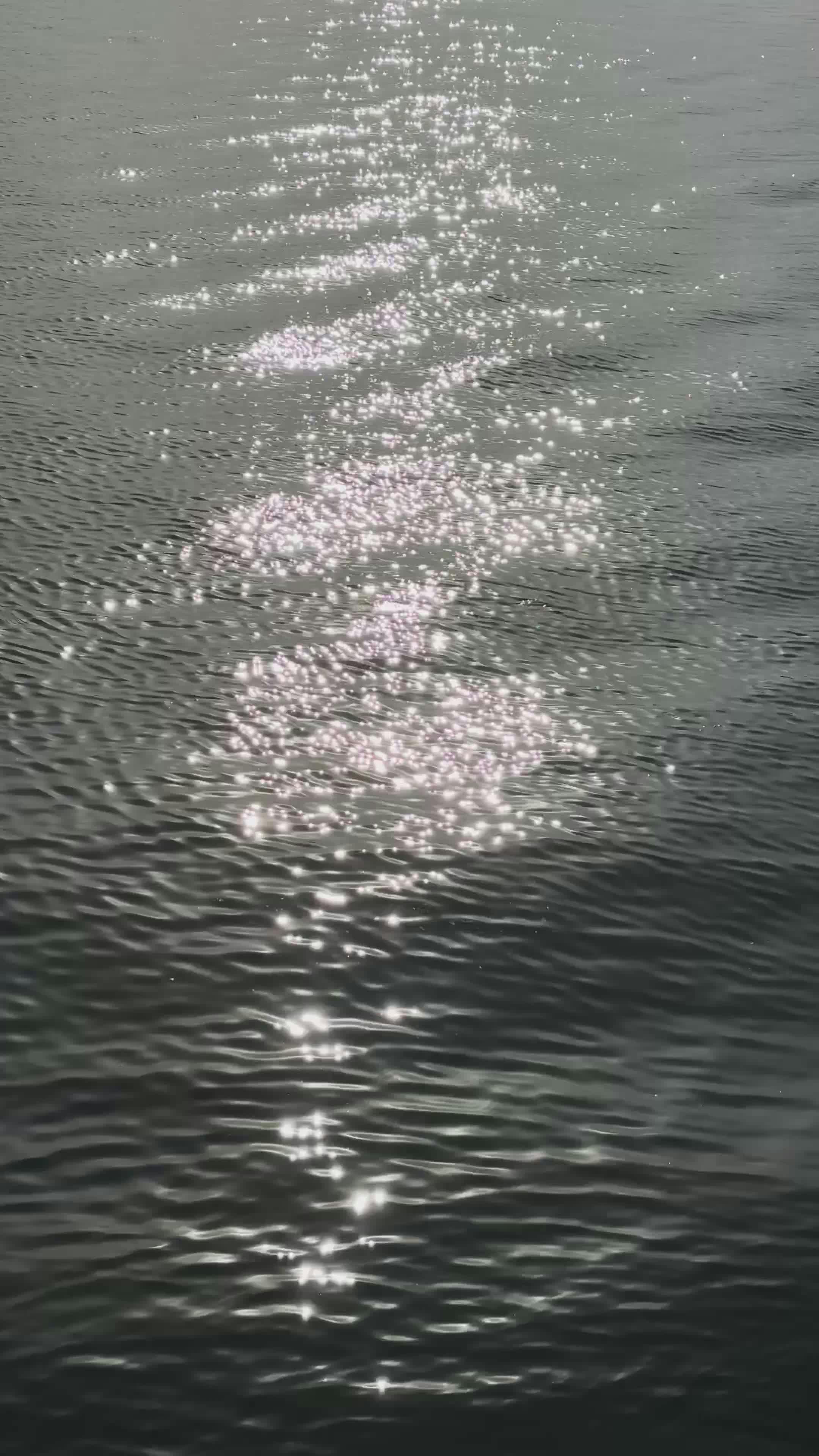 Tanmay Tiwari - Photography