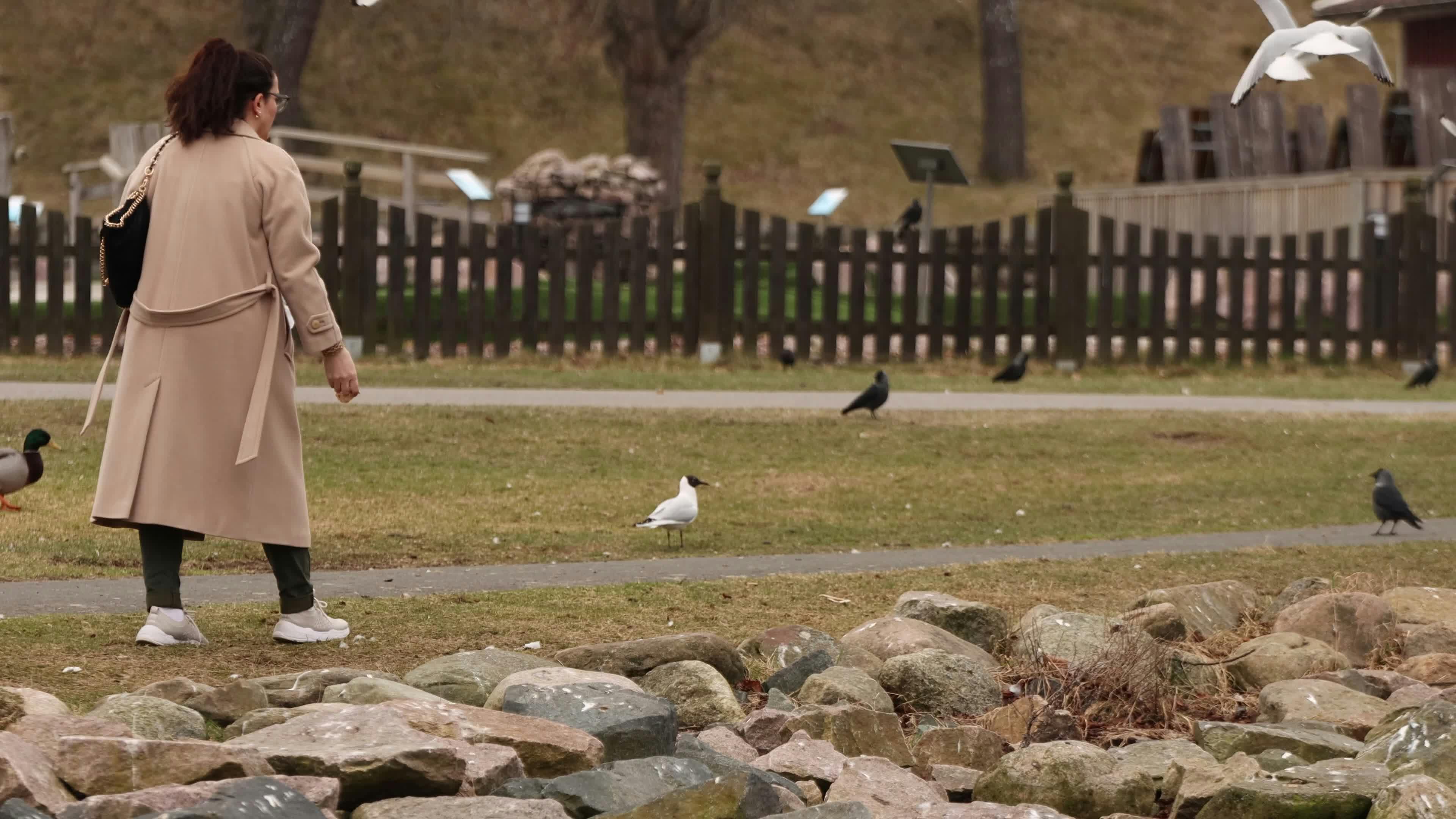 Sample Fence Videos, Download The BEST Free 4k Stock Video Footage ...