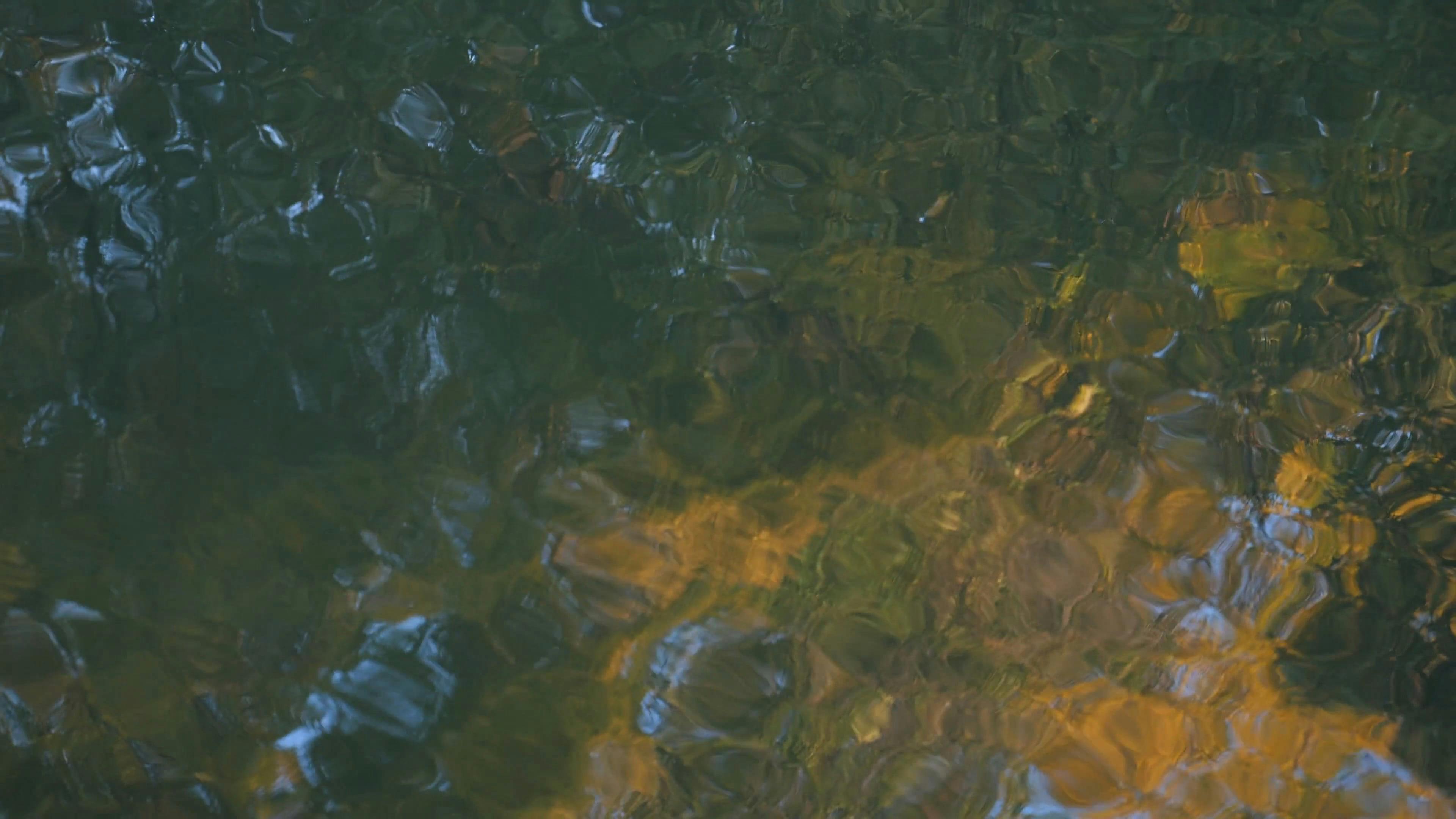 Distorted Reflection Of Trees On A Calm Lake Surface Free Stock Video ...