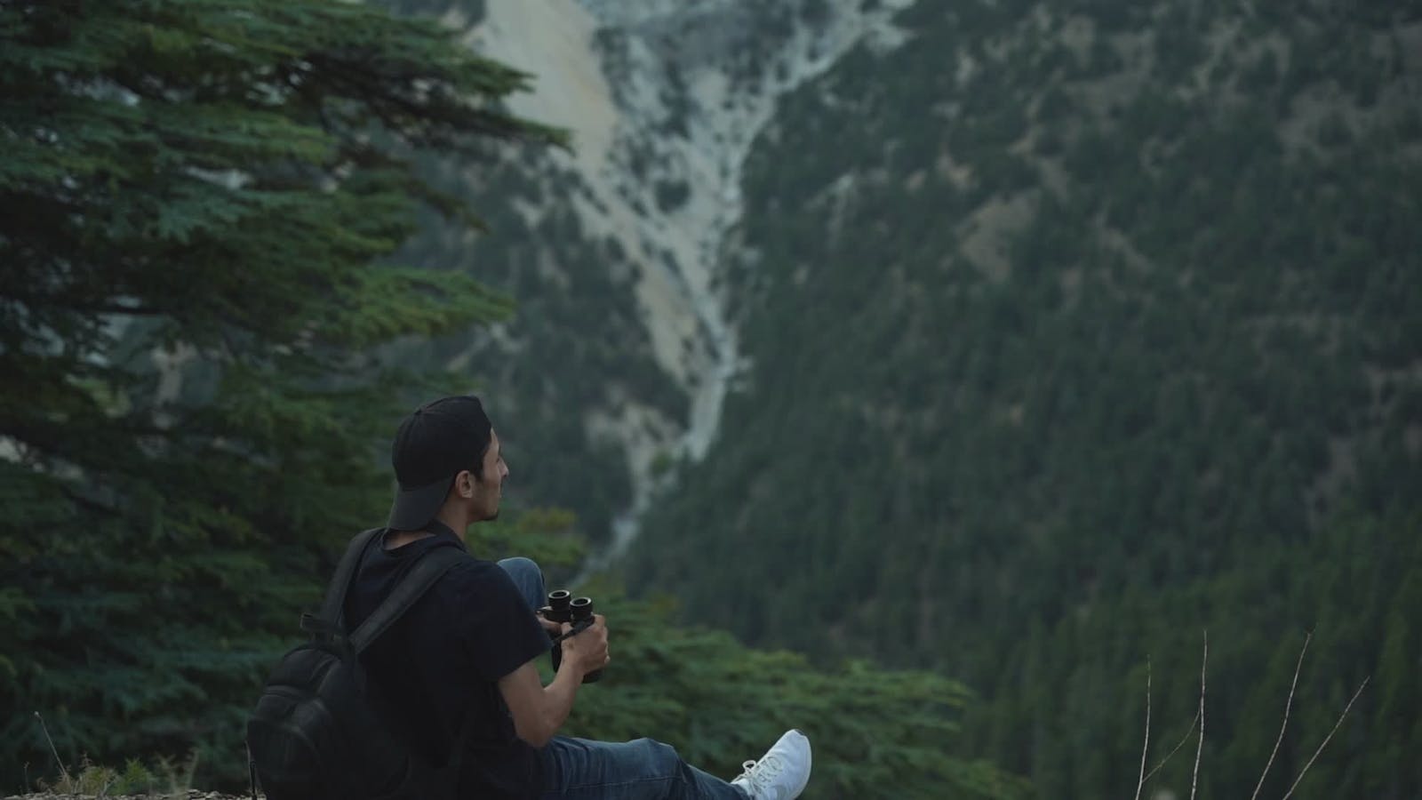 Bf+Video+Mein Videos, Download The BEST Free 4k Stock Video Footage ...