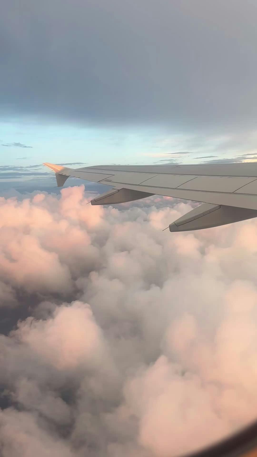 Plane Flying Videos, Download The BEST Free 4k Stock Video Footage ...