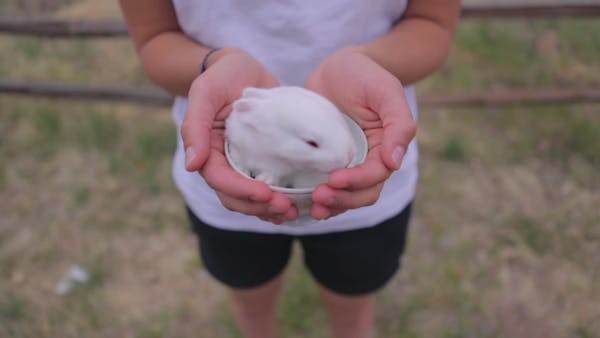 Cute+Girl+On+Symbian Videos, Download The BEST Free 4k Stock Video ...