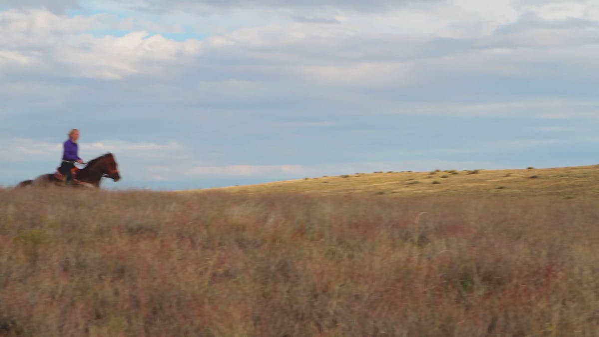 Dbree+Girl+Mp4 Videos, Download The BEST Free 4k Stock Video Footage ...