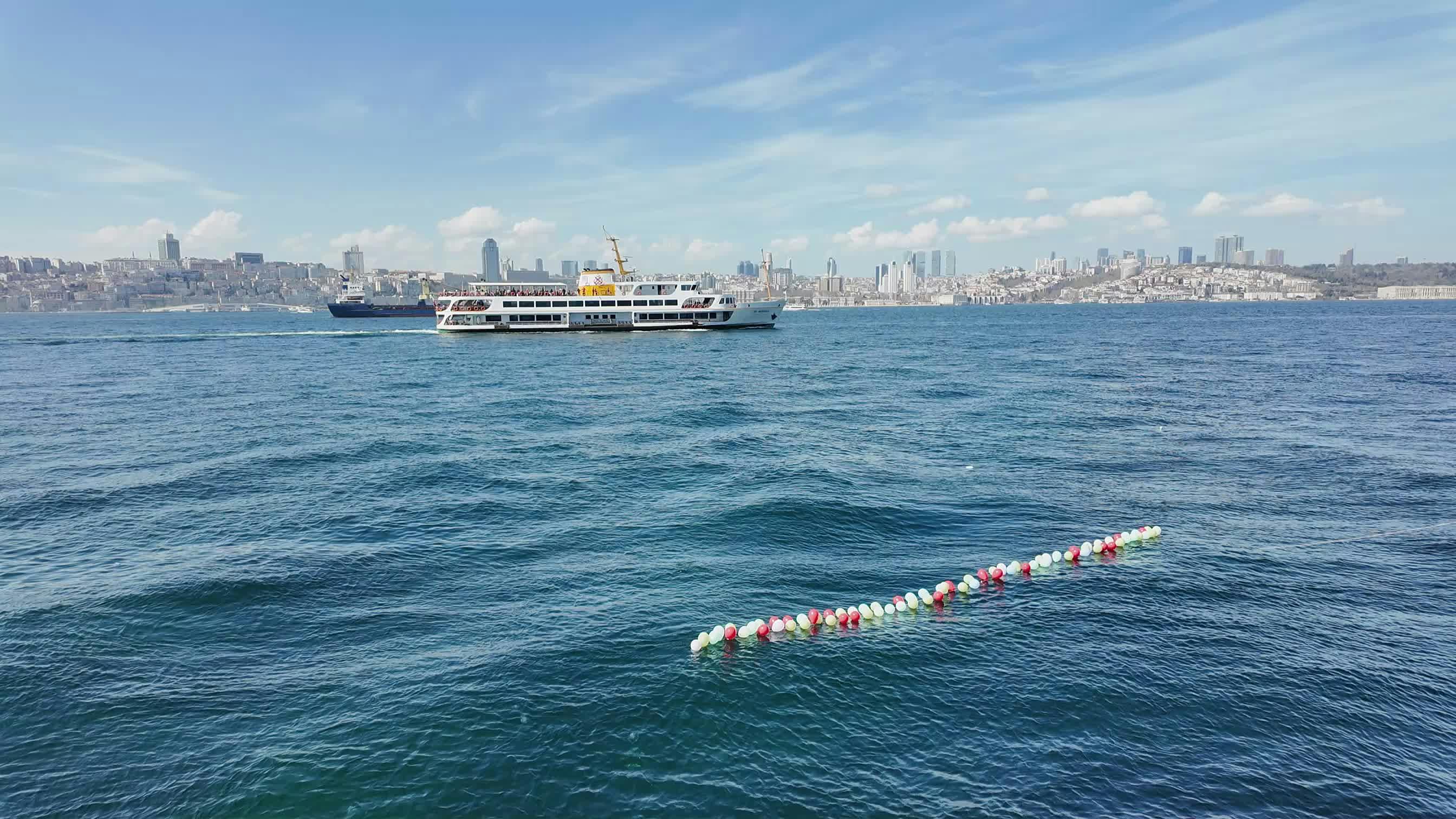 People+Humping+Each+Other Videos, Download The BEST Free 4k Stock Video ...