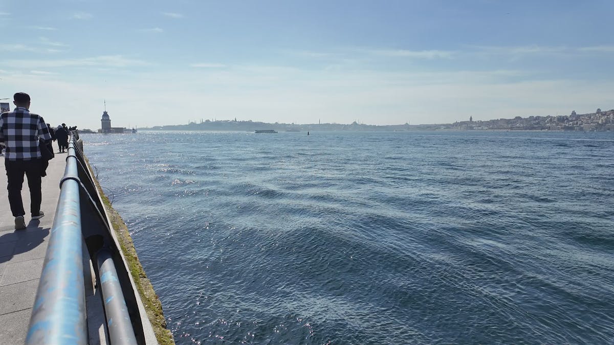 People+Humping+Each+Other Videos, Download The BEST Free 4k Stock Video ...