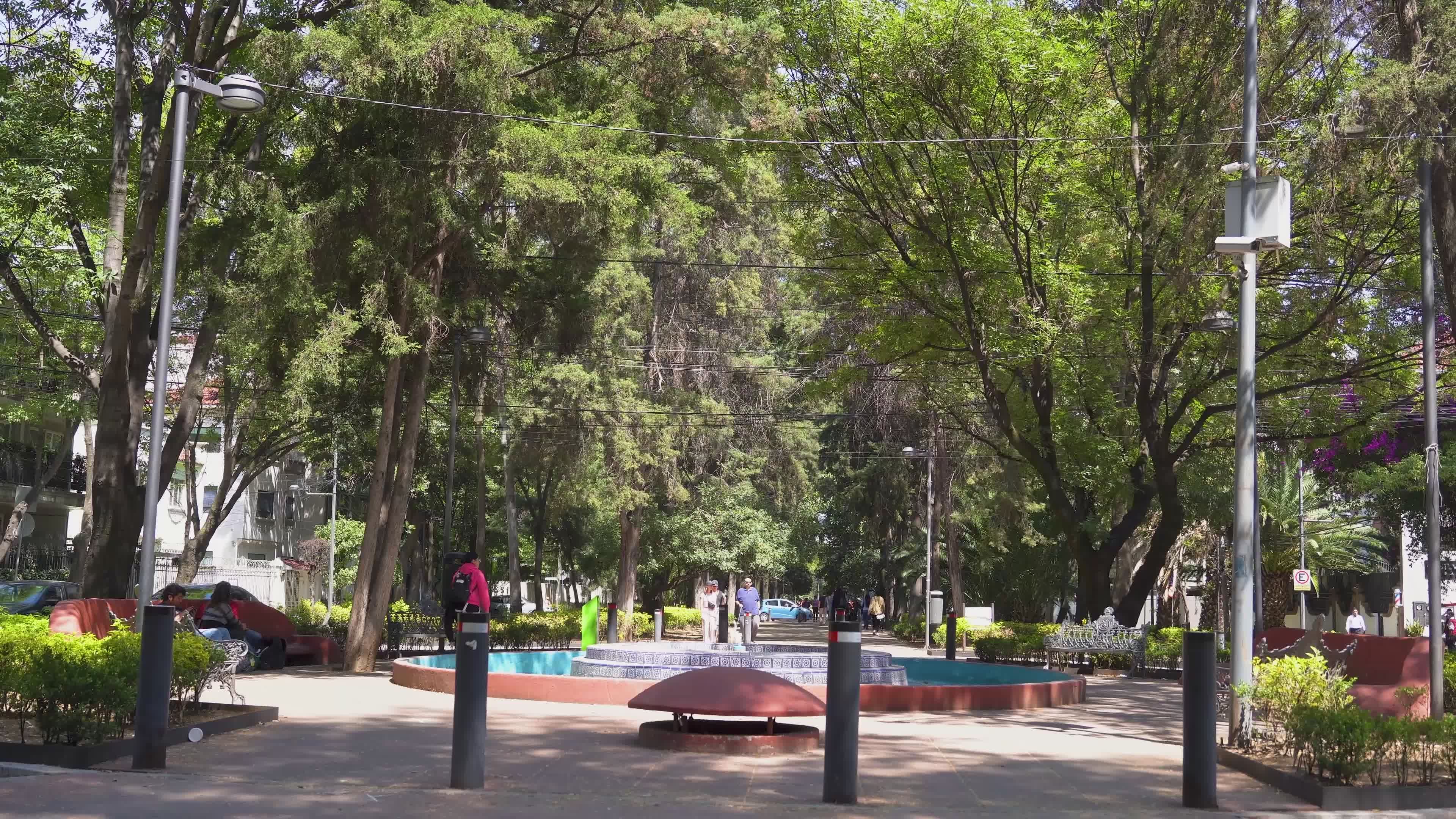 Relaxing Walk in Polanco Park, CDMX Free Stock Video Footage, Royalty ...