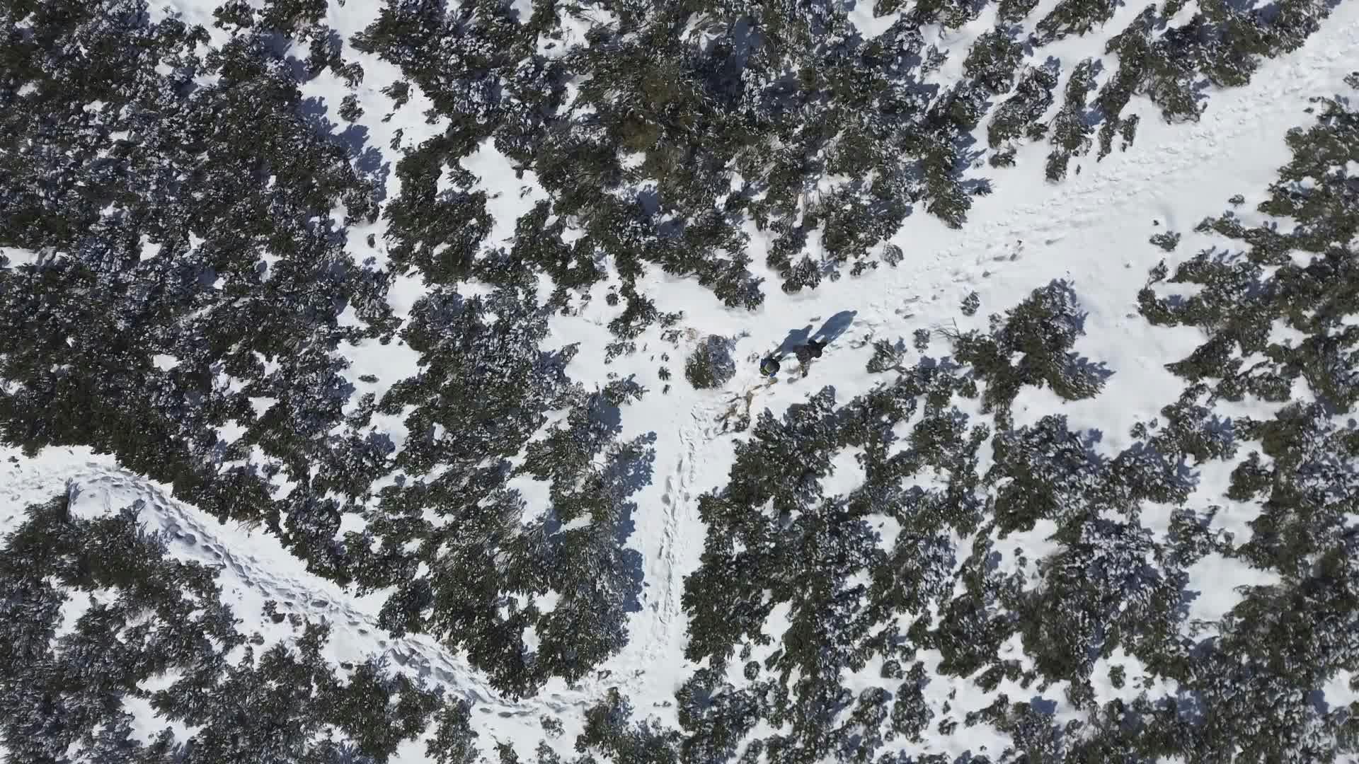 Aerial View of Snowy Mountain Wilderness in Winter Free Stock Video ...
