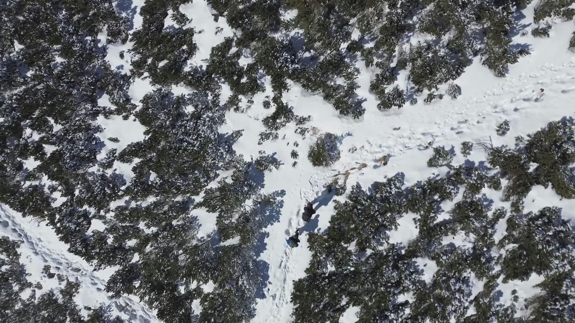 Aerial Path Videos, Download The BEST Free 4k Stock Video Footage ...