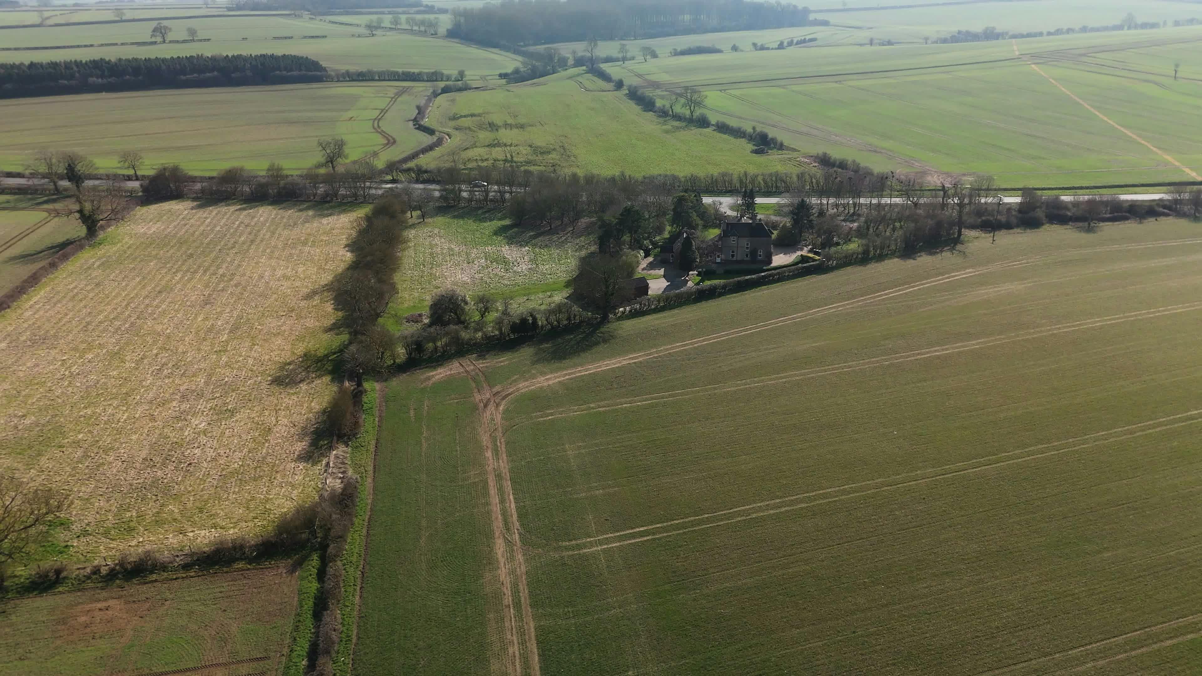 Mouse In Crops Videos, Download The BEST Free 4k Stock Video Footage ...