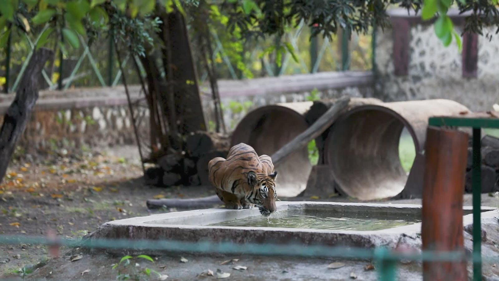 Simply+The+Best+Reverse+Cowgirl+Compilation+Ever Videos, Download The ...