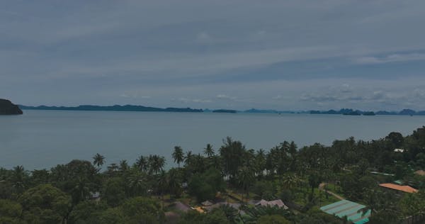 Royalty Free Videos, Download The BEST Free 4k Stock Video Footage ...