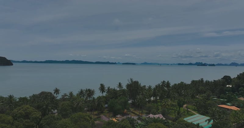 Royalty Free Videos, Download The BEST Free 4k Stock Video Footage ...