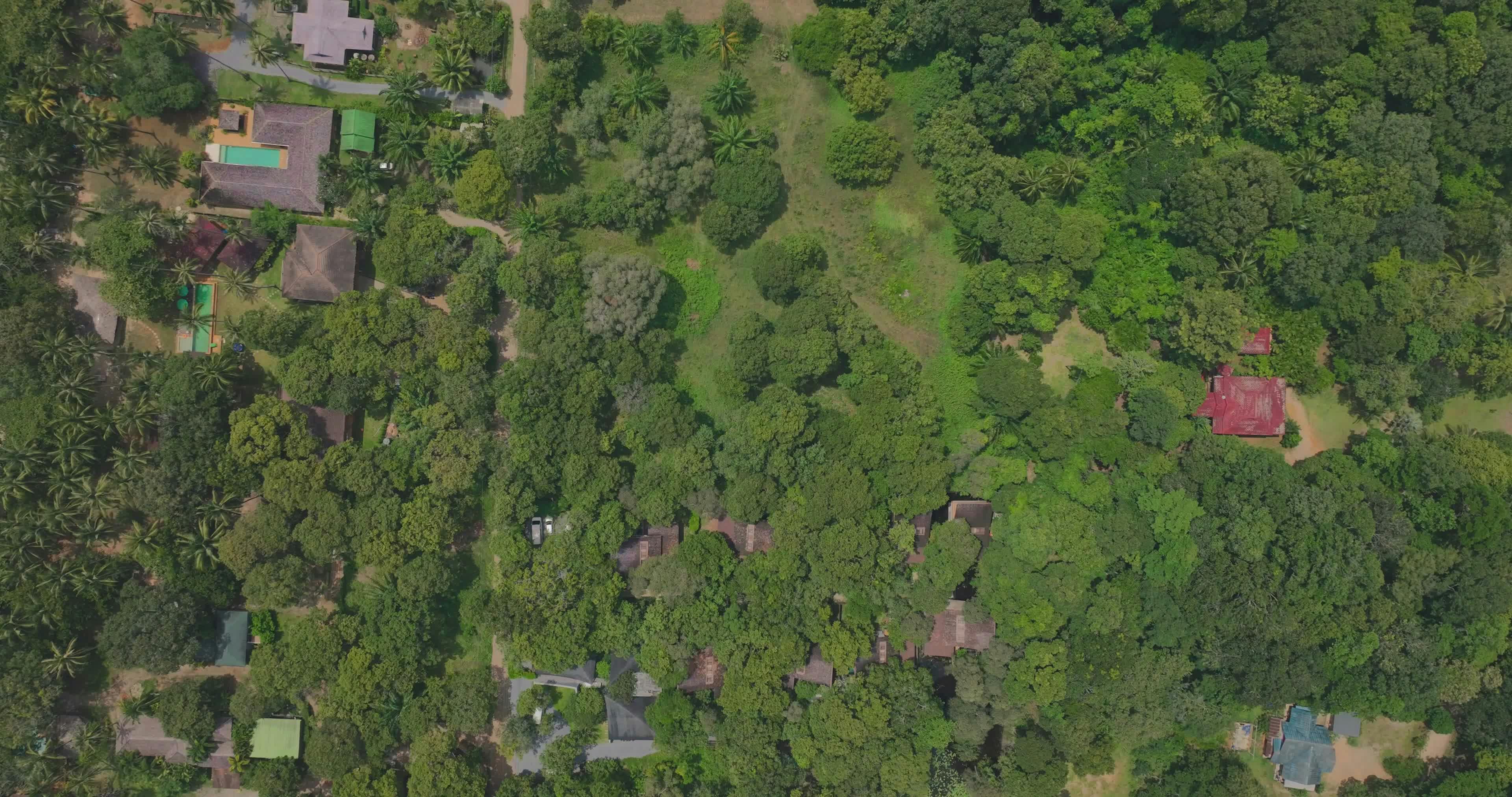 Free No Copyright Forest Videos, Download The BEST Free 4k Stock Video ...