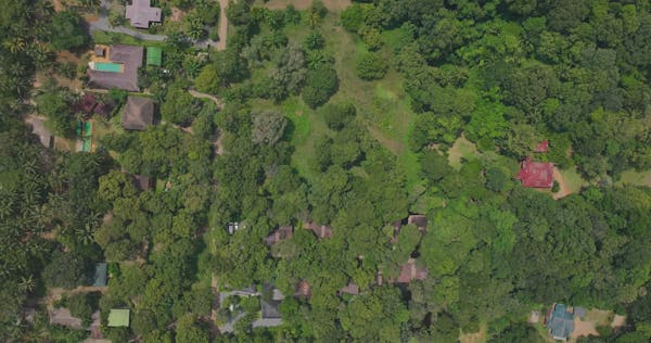 Royalty Free Videos, Download The BEST Free 4k Stock Video Footage ...