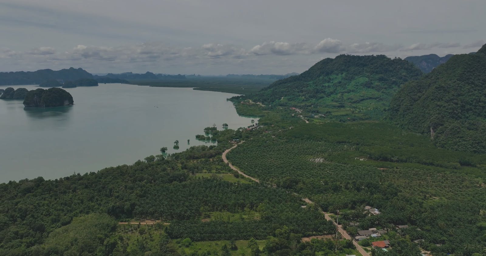 Dream+Studio+Two+Elfs+Videos Videos, Download The BEST Free 4k Stock ...