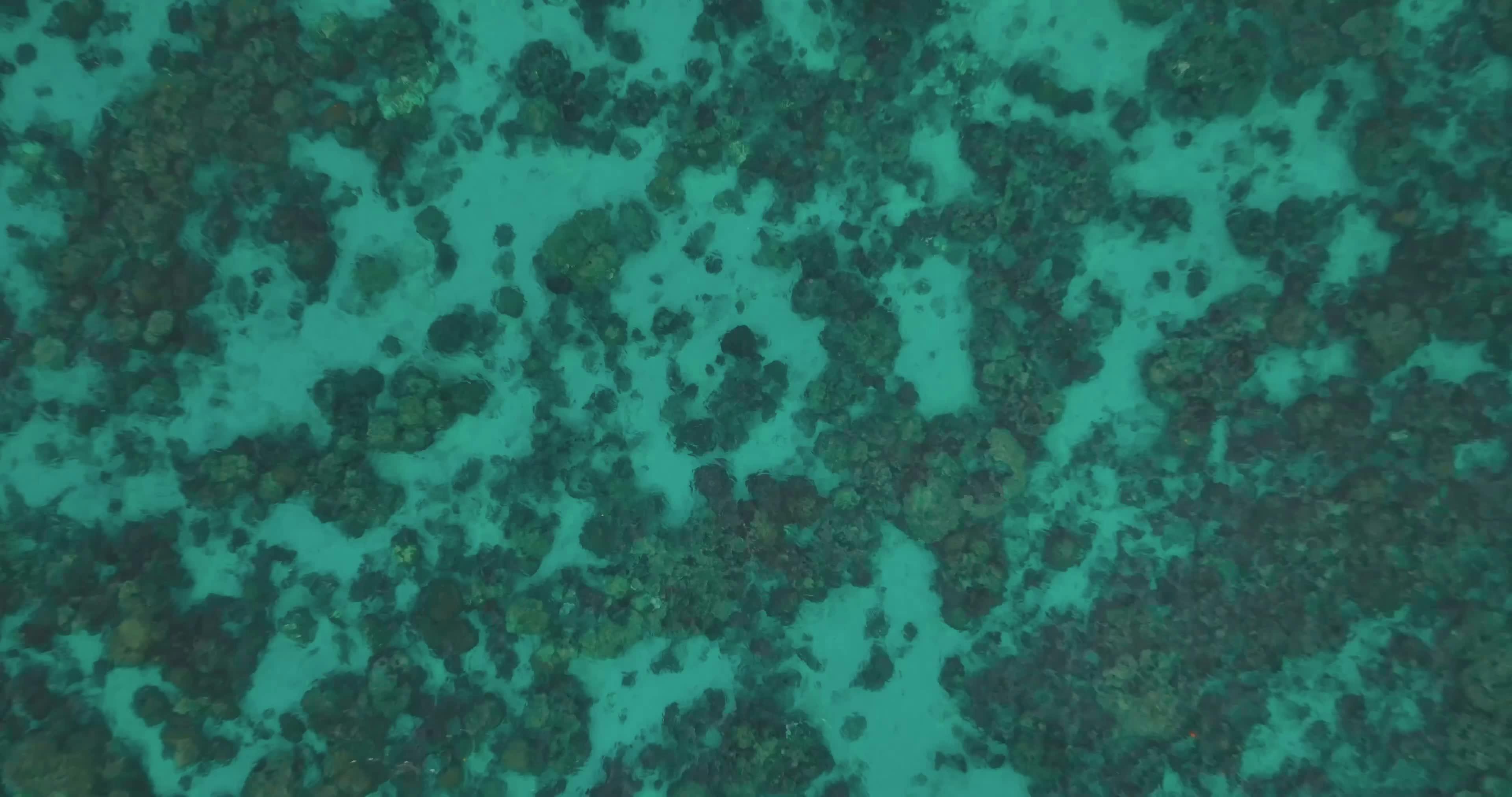 Manin Beach Underwater Videos, Download The BEST Free 4k Stock Video ...