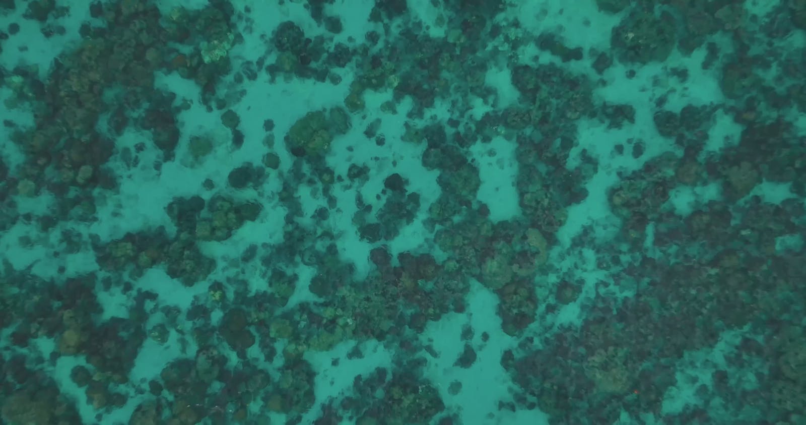 Full+Sax+Video+India Videos, Download The BEST Free 4k Stock Video ...