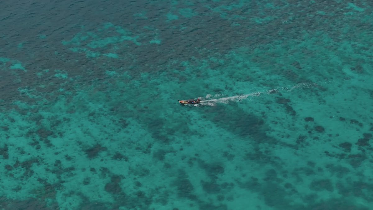 Royalty Free Videos, Download The BEST Free 4k Stock Video Footage ...