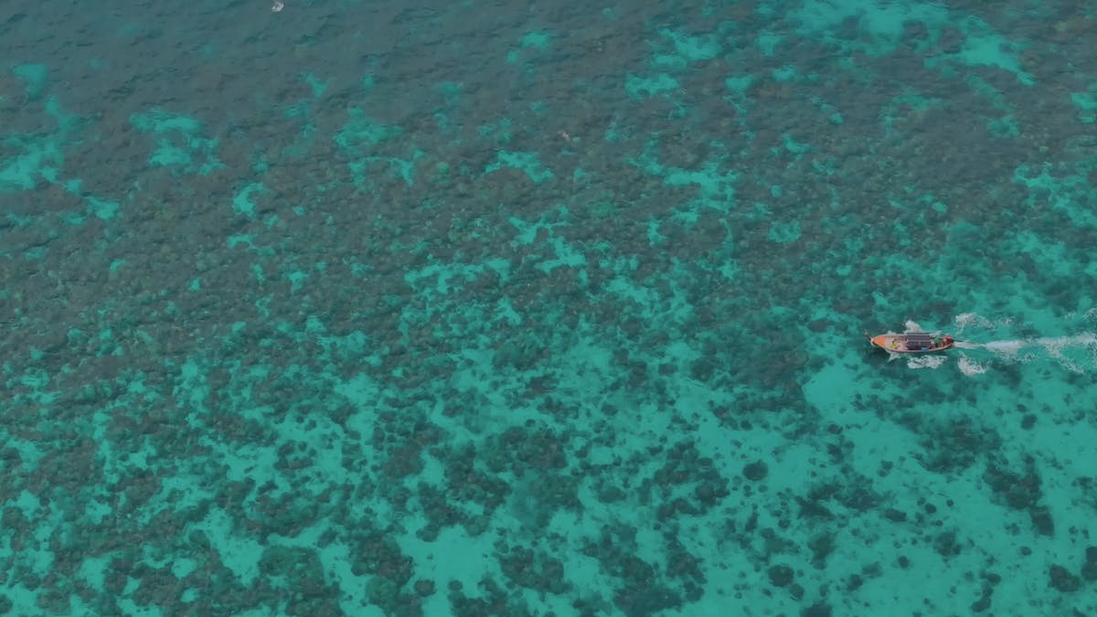 Unsplash Video Videos, Download The BEST Free 4k Stock Video Footage ...