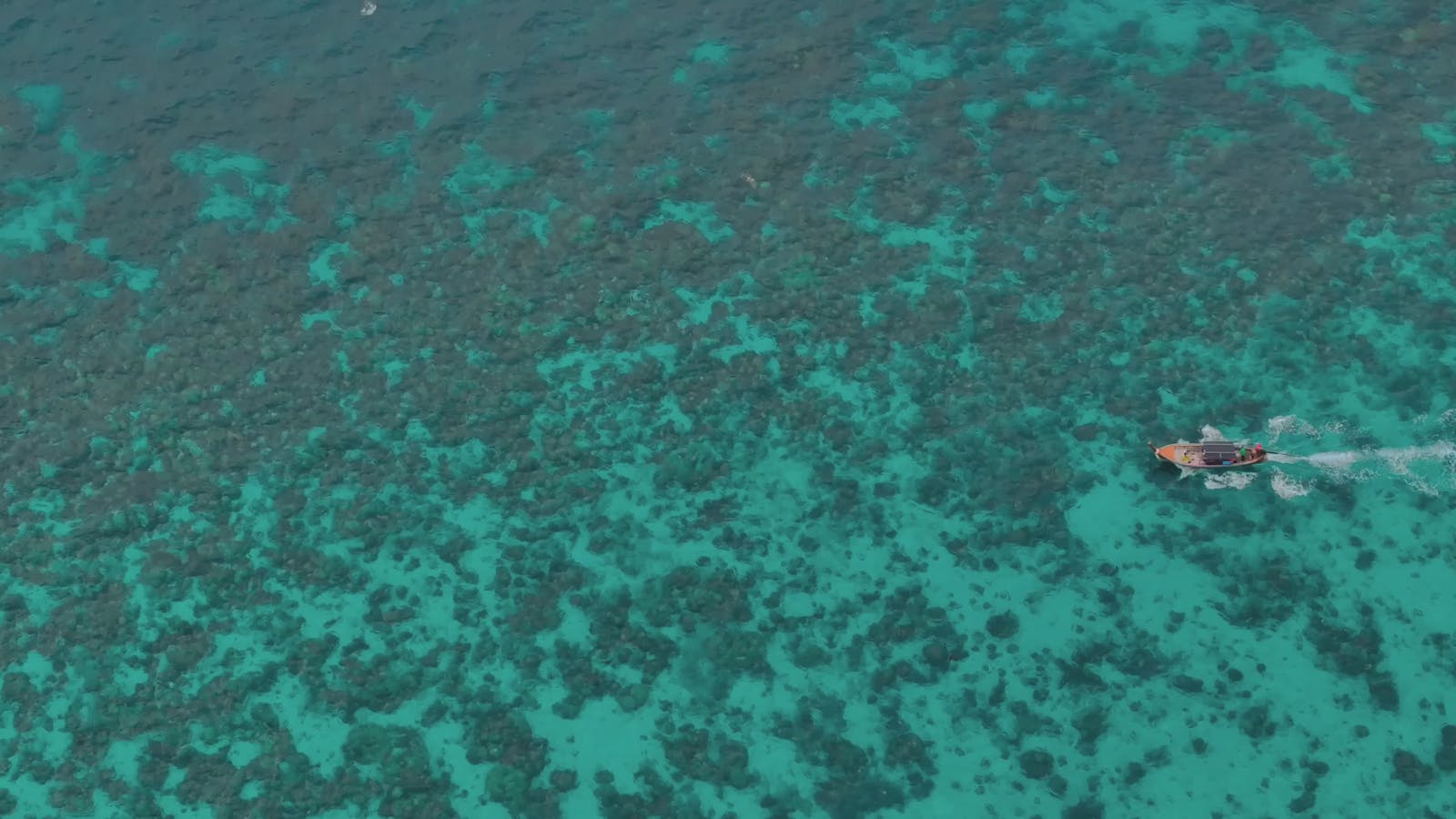 Free Non Copyrighted Asmr Videos, Download The BEST Free 4k Stock Video ...