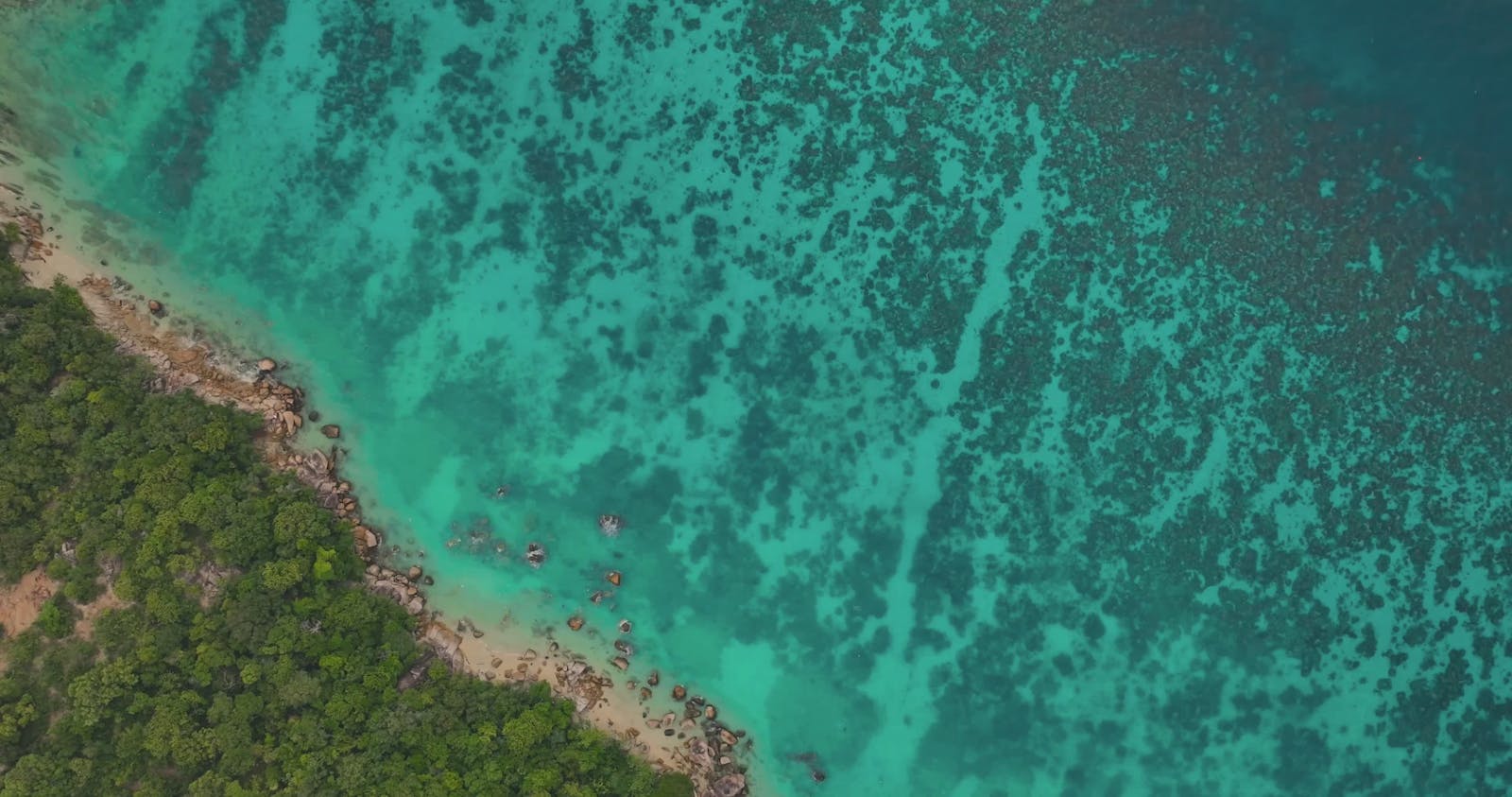 Full+Sax+Video+India Videos, Download The BEST Free 4k Stock Video ...