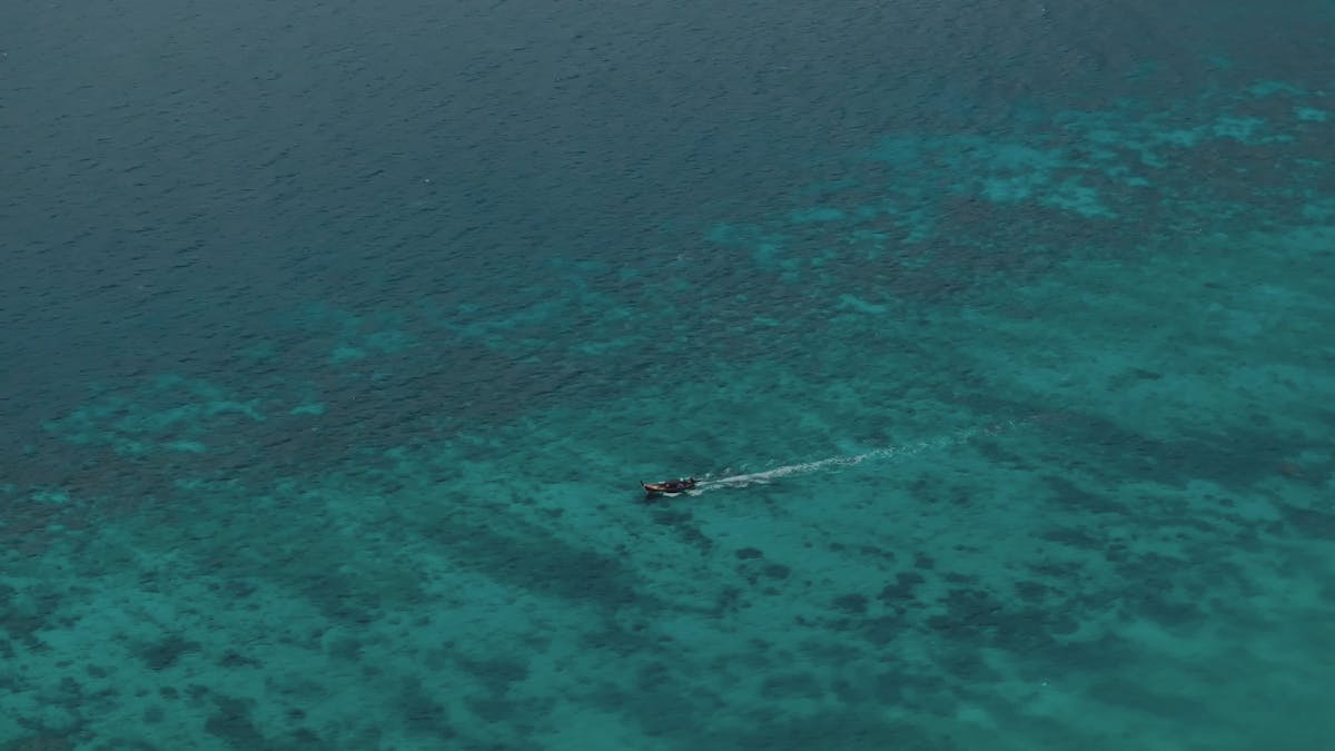 Royalty Free Videos, Download The BEST Free 4k Stock Video Footage ...