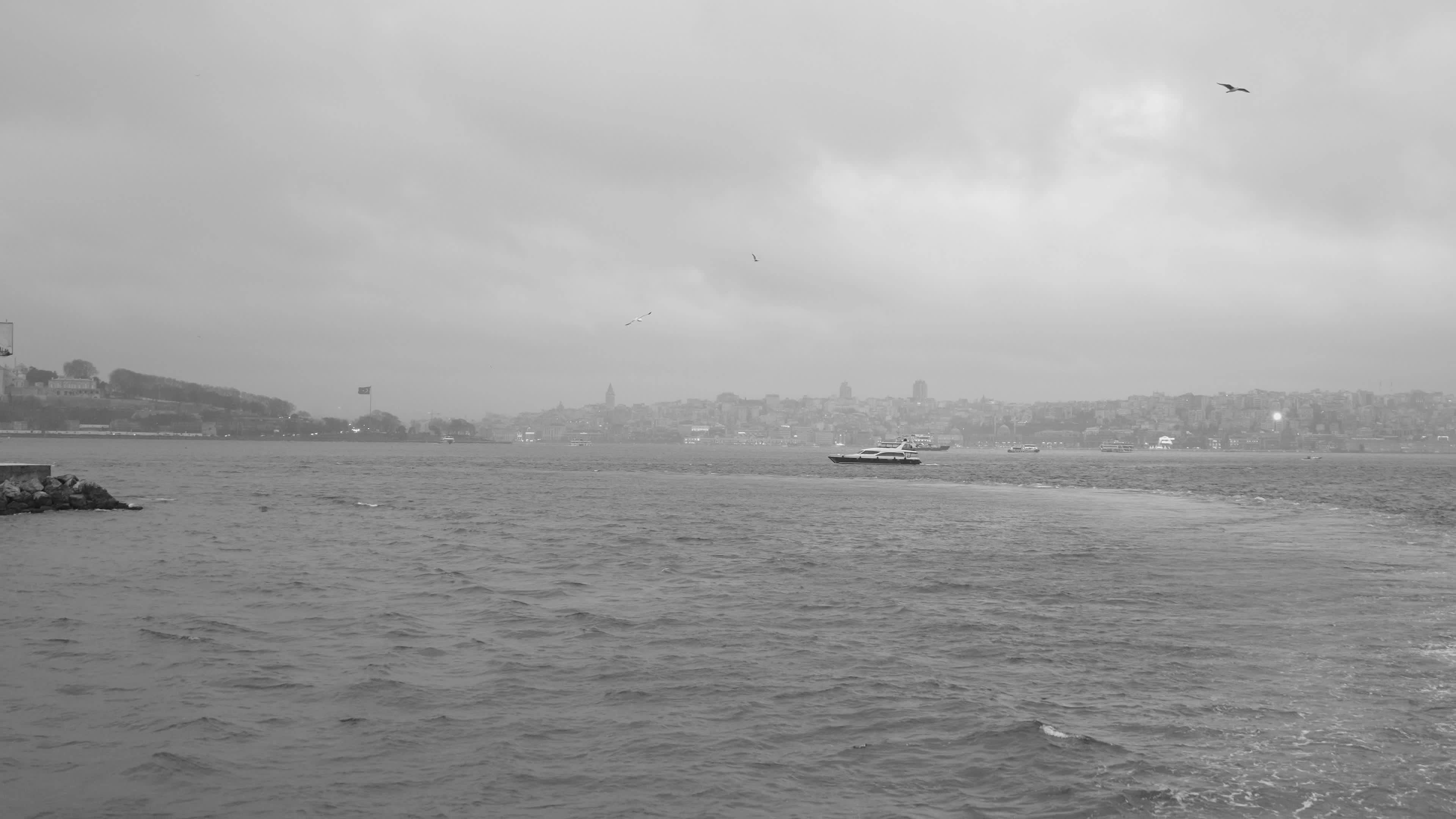 200,000+个最精彩的“全景”视频 · 100%免费下载 · Pexels素材视频