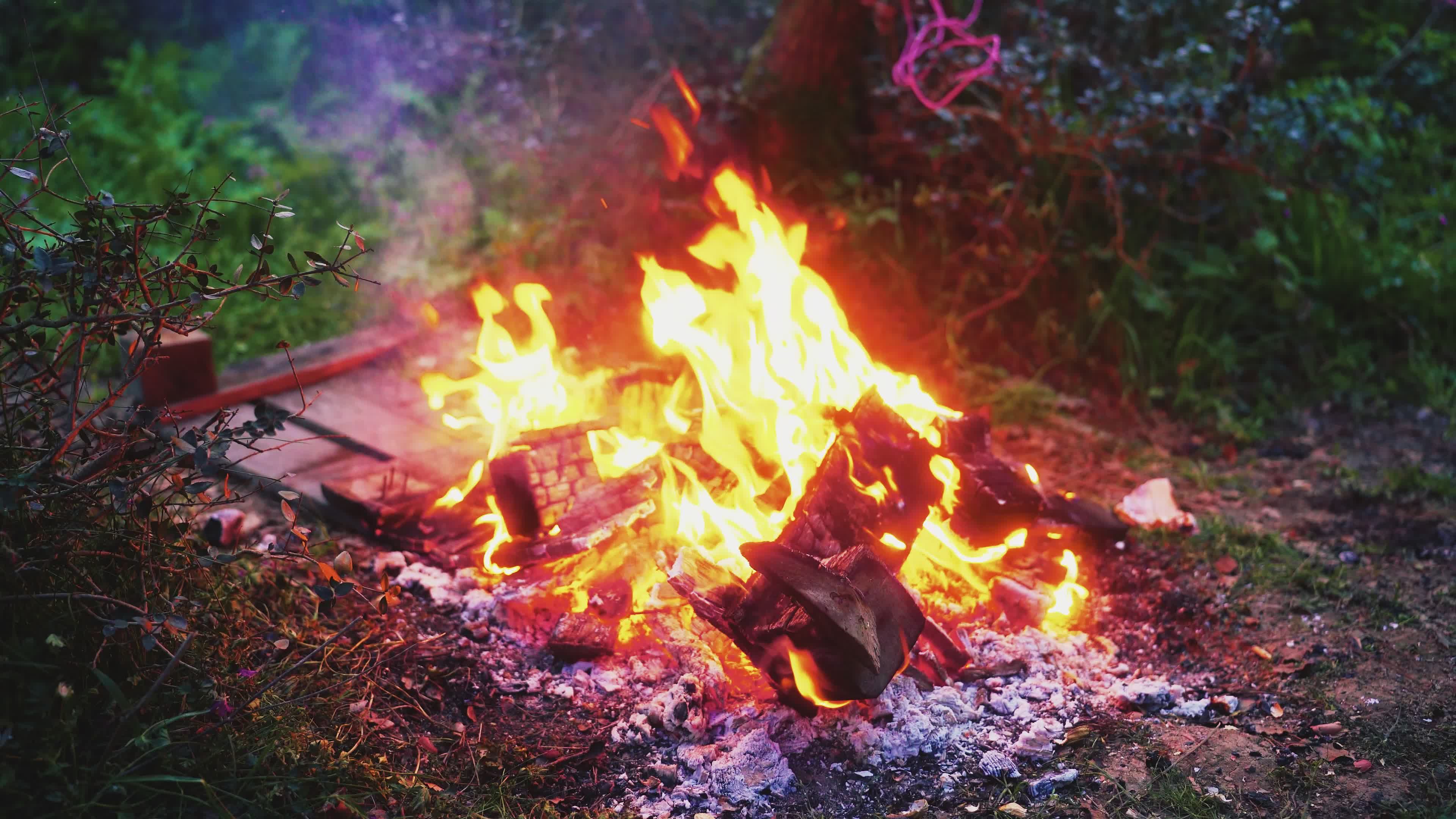 Vivid Outdoor Campfire in Forest Setting Free Stock Video Footage ...