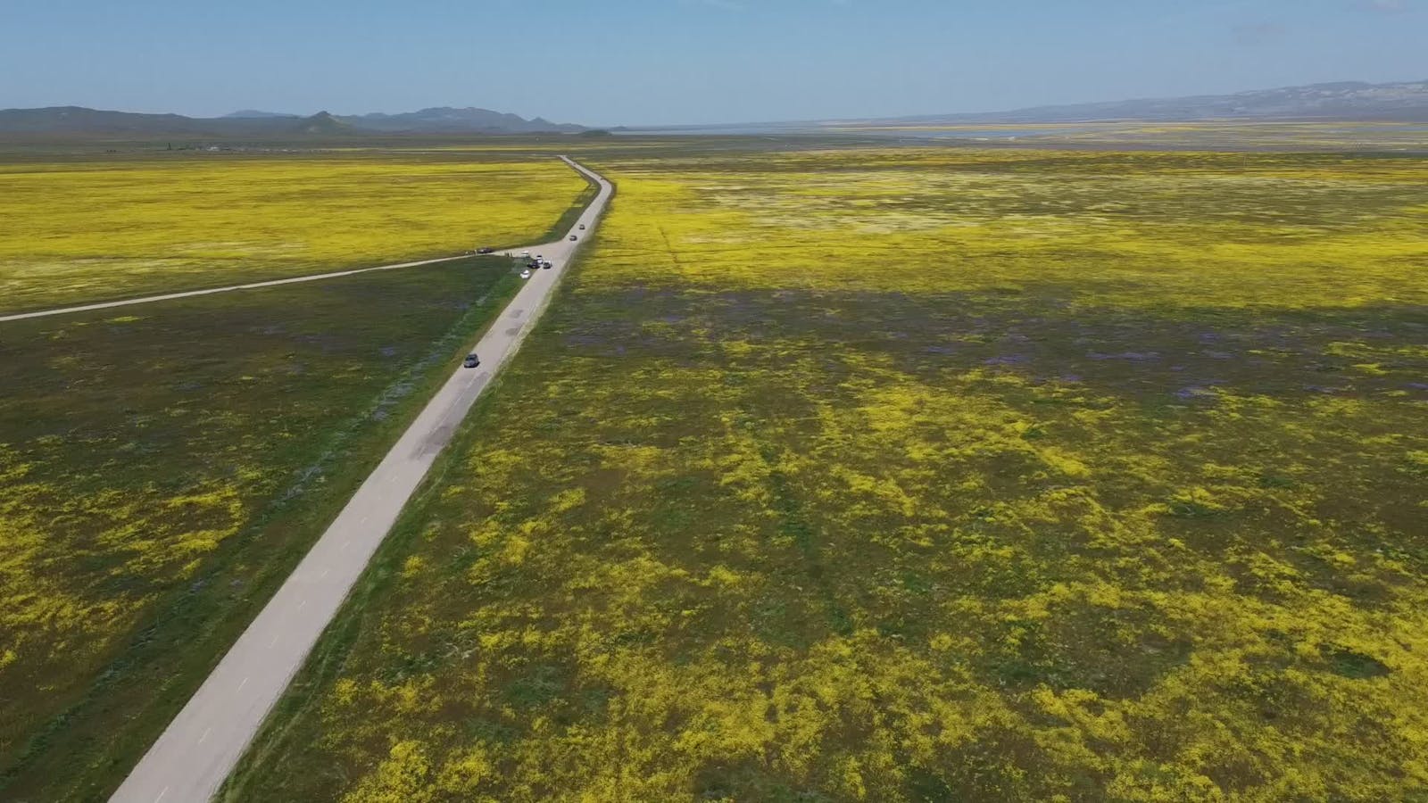 Xxww+Video Videos, Download The BEST Free 4k Stock Video Footage & Xxww ...