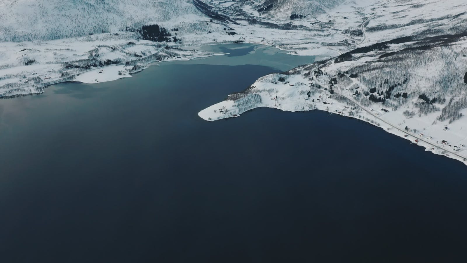 Big+Gyat+Twerking Videos, Download The BEST Free 4k Stock Video Footage ...