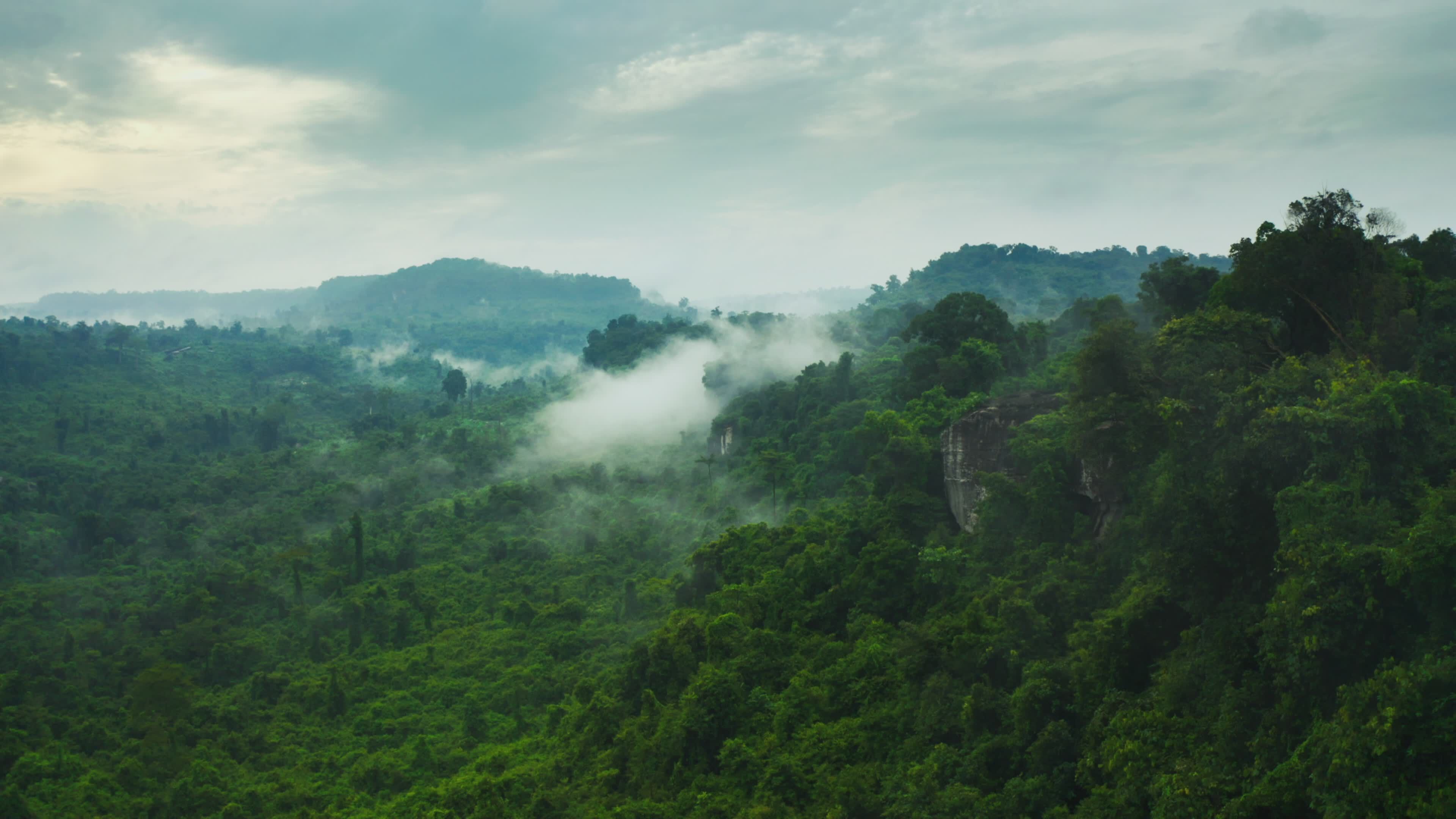 Stunning Aerial View of Lush Cambodian Jungle Free Stock Video Footage ...