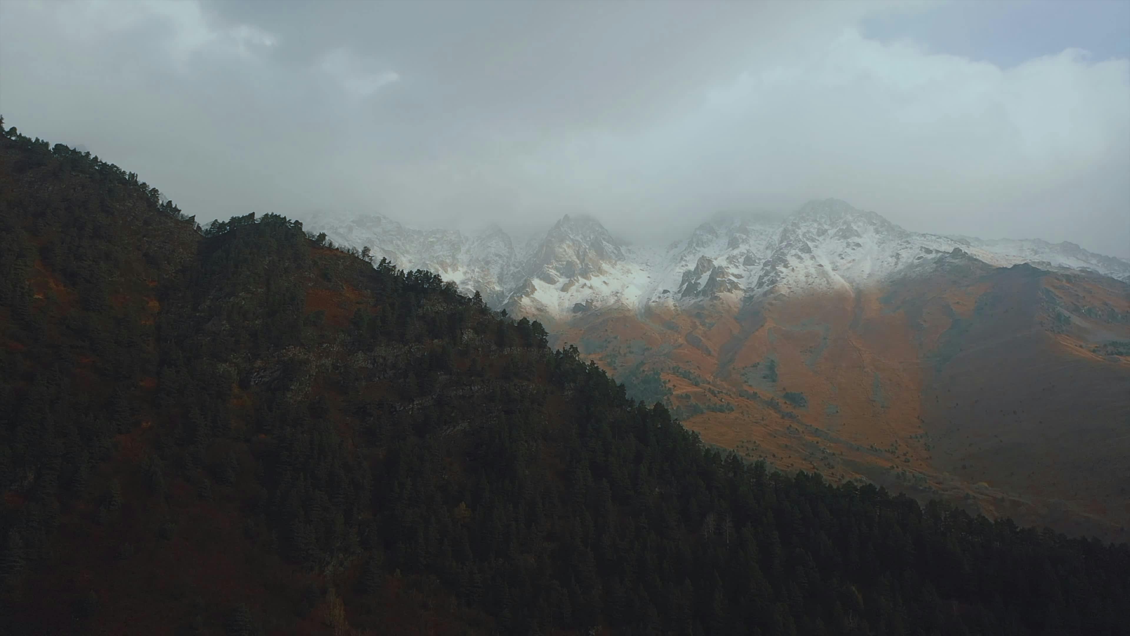 Beautiful+Women+Solo Videos, Download The BEST Free 4k Stock Video ...